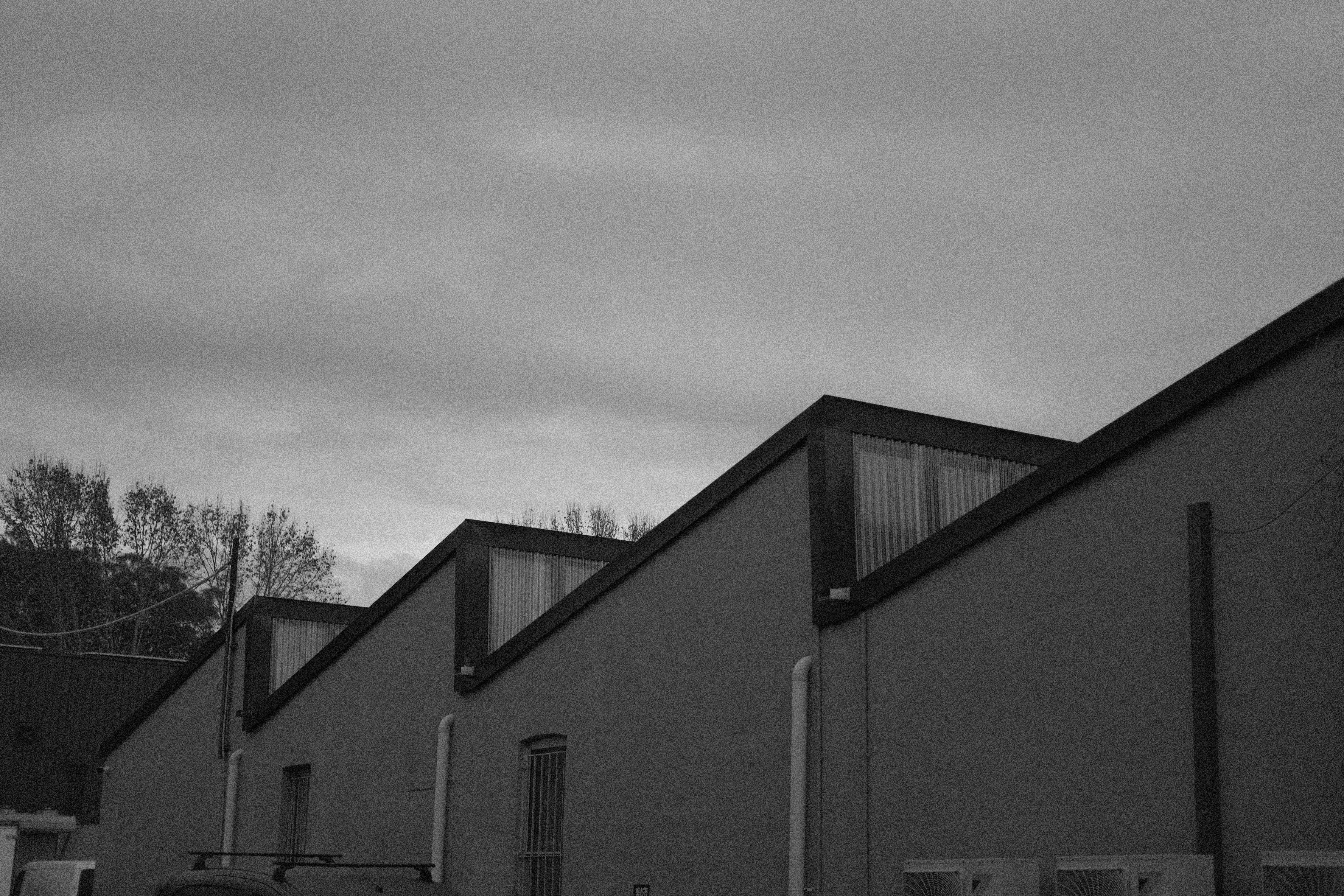 Industrial Zen: Parallel Rooflines Under a Low-Contrast Sky