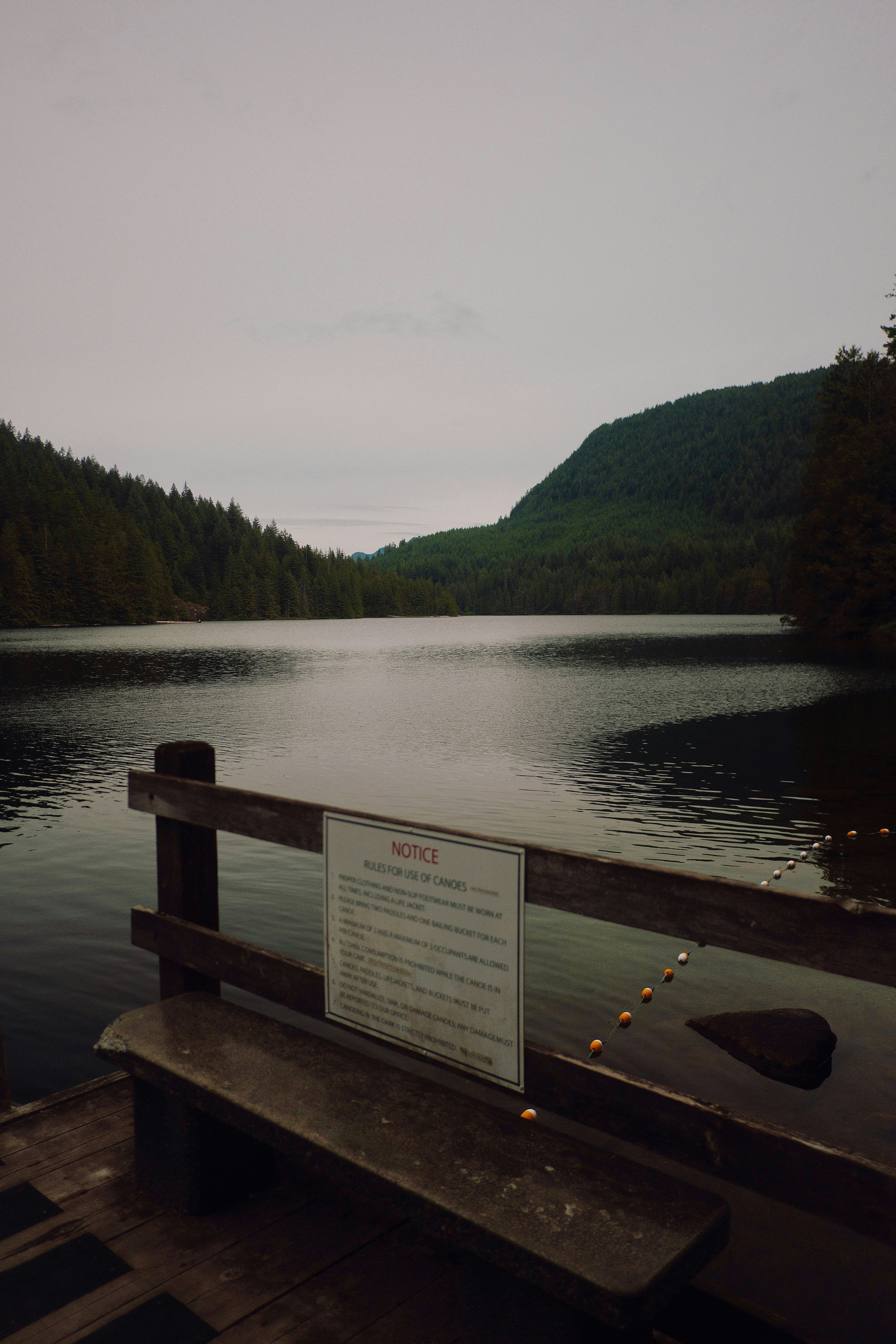 Gateway to Quiet Waters: A Pierside View Across the Lake