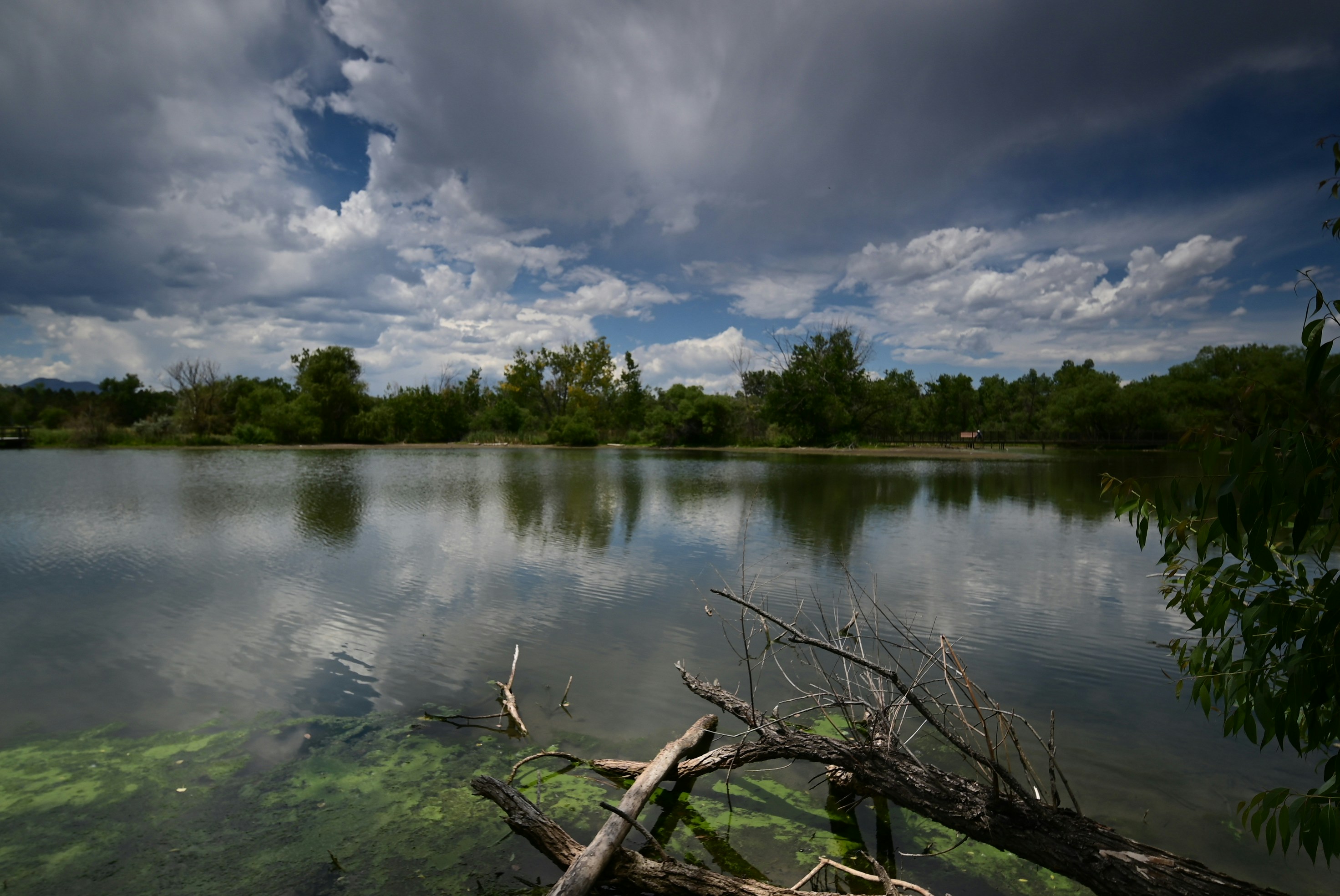 Still Waters, Moving Sky: A Quiet Riverside Scene