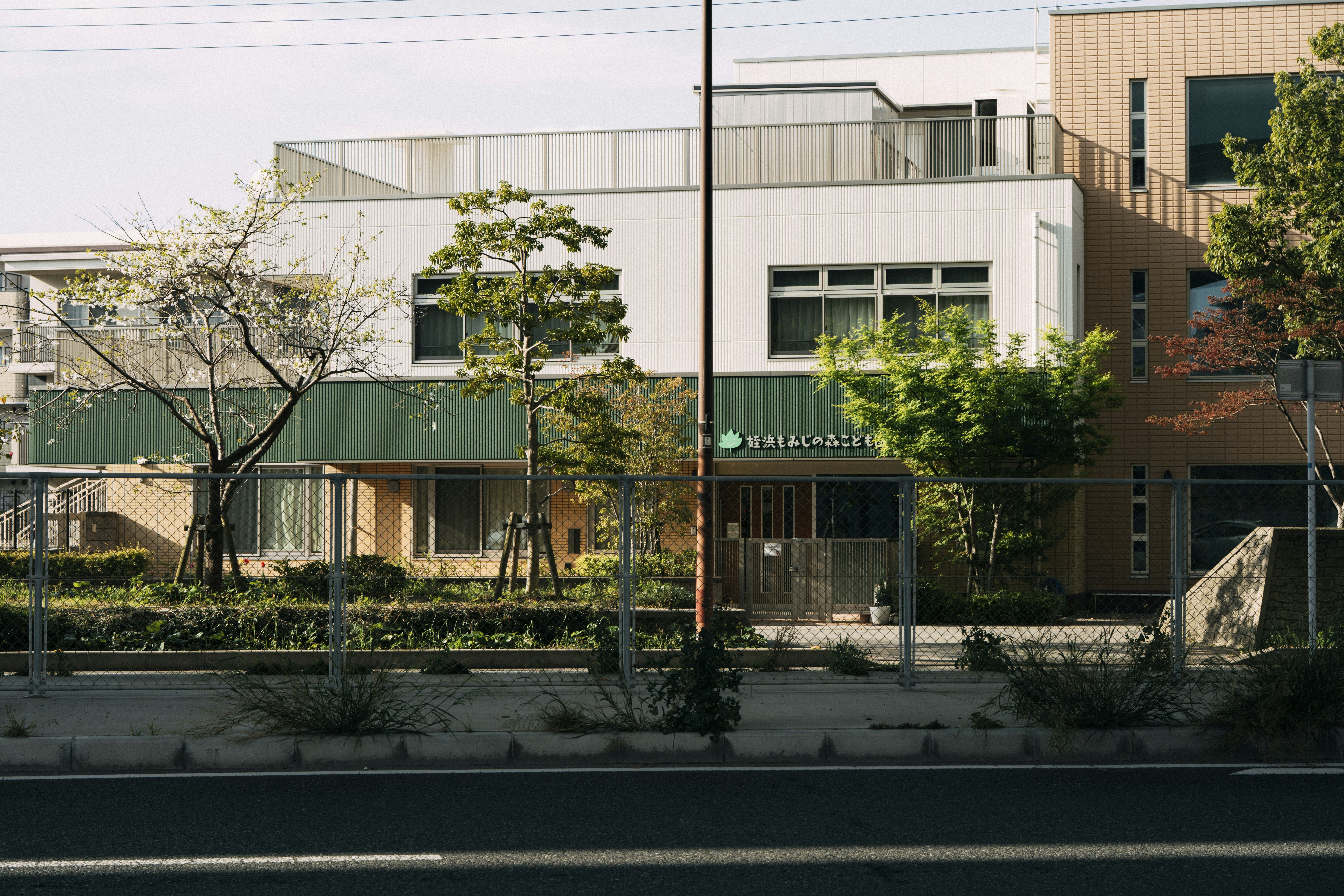 Quiet Commerce: A Sunlit Row of Shops Framed by Trees