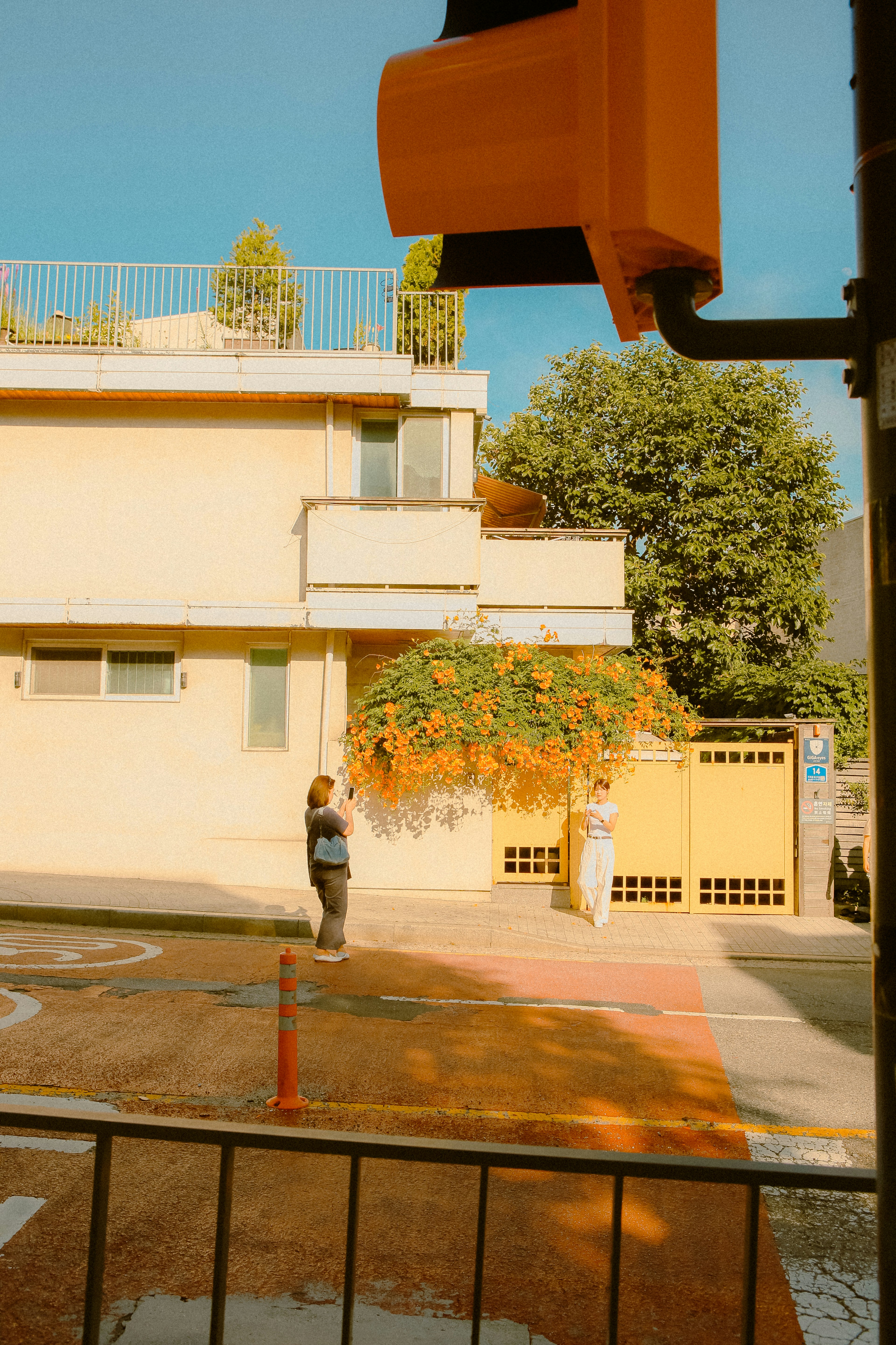 Sunny urban scene with a pale-yellow building, person on the left taking a photo, and another figure near a doorway beneath orange flowering shrub; a traffic signal dominates the upper right. The image captures a candid street moment with warm, retro tones.