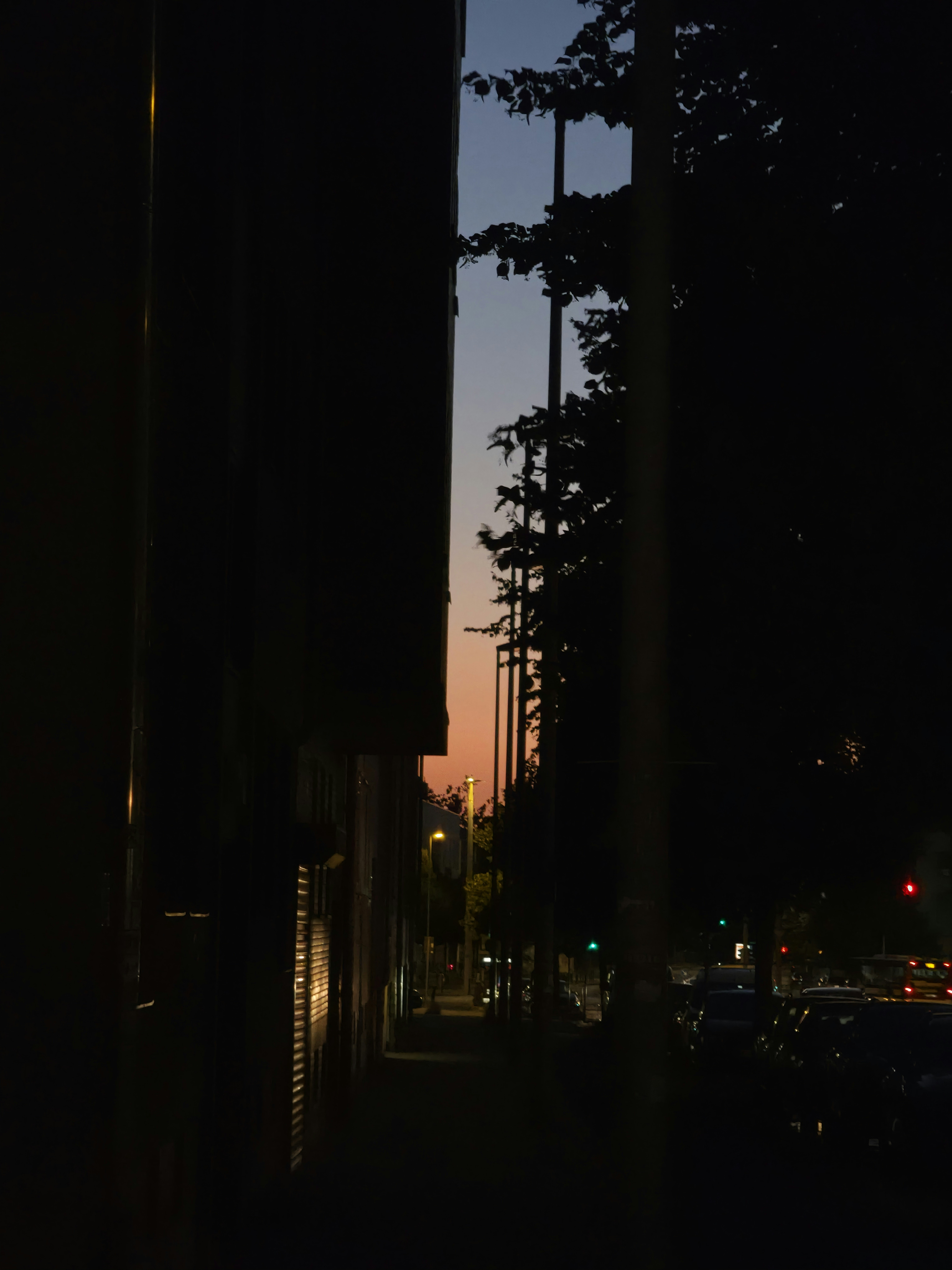 Sunset Silhouette Between Urban Shadows