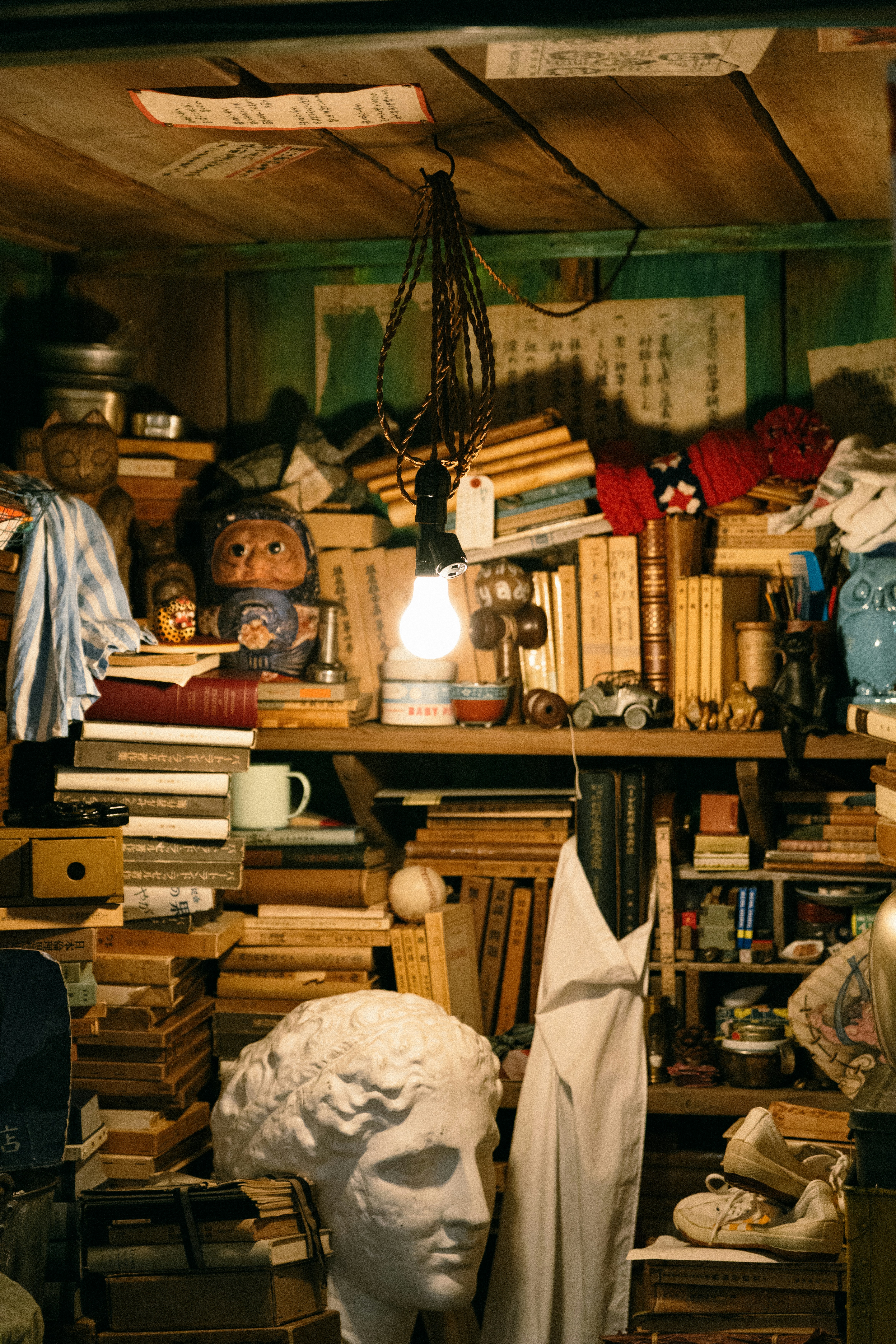 Lantern of Curiosities: A Cozy Library of Oddities