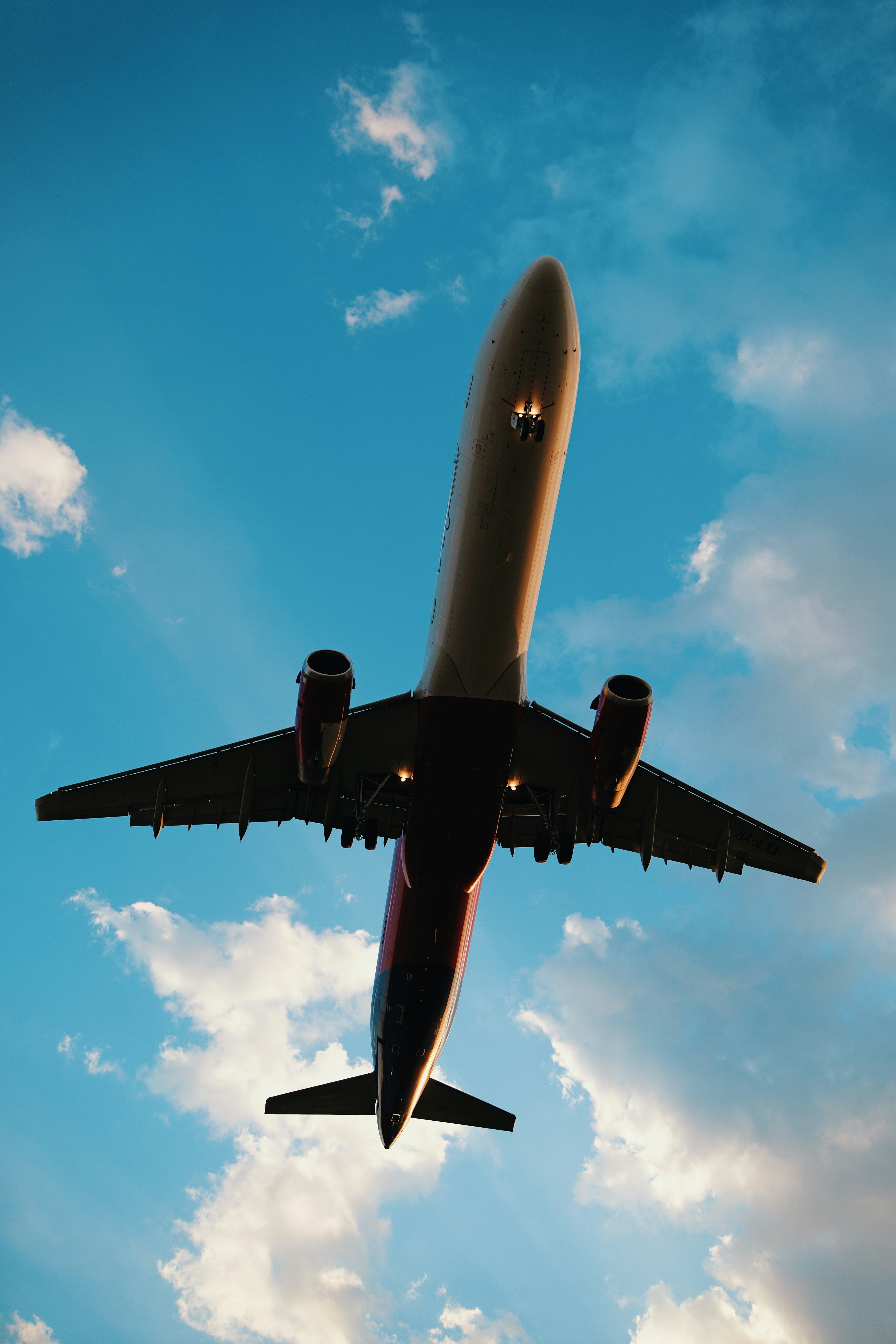 Underwing Ascent: A Jet Passes Overhead in Clear Skies