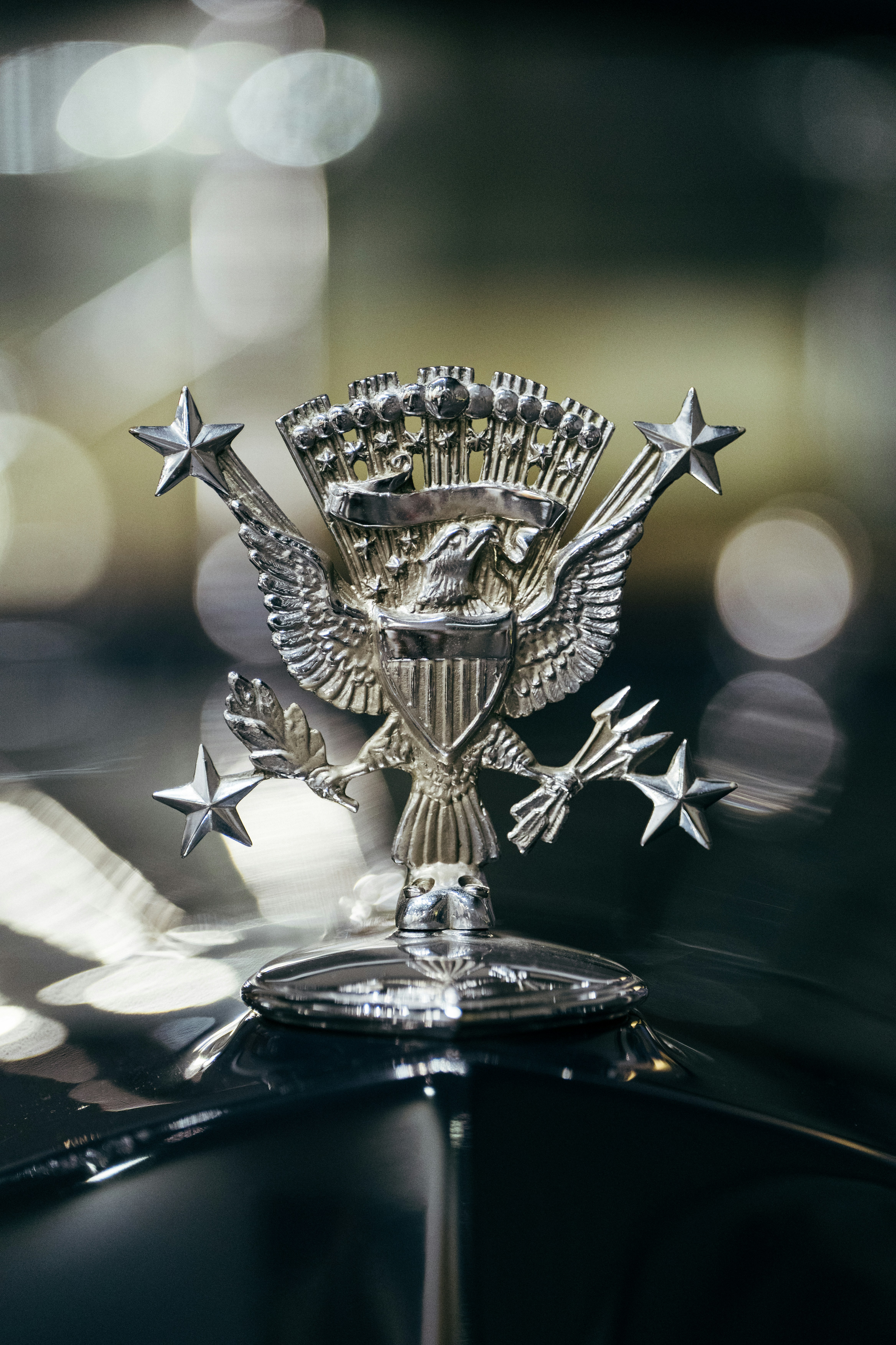 Crested chrome: a car badge glints in soft showroom light