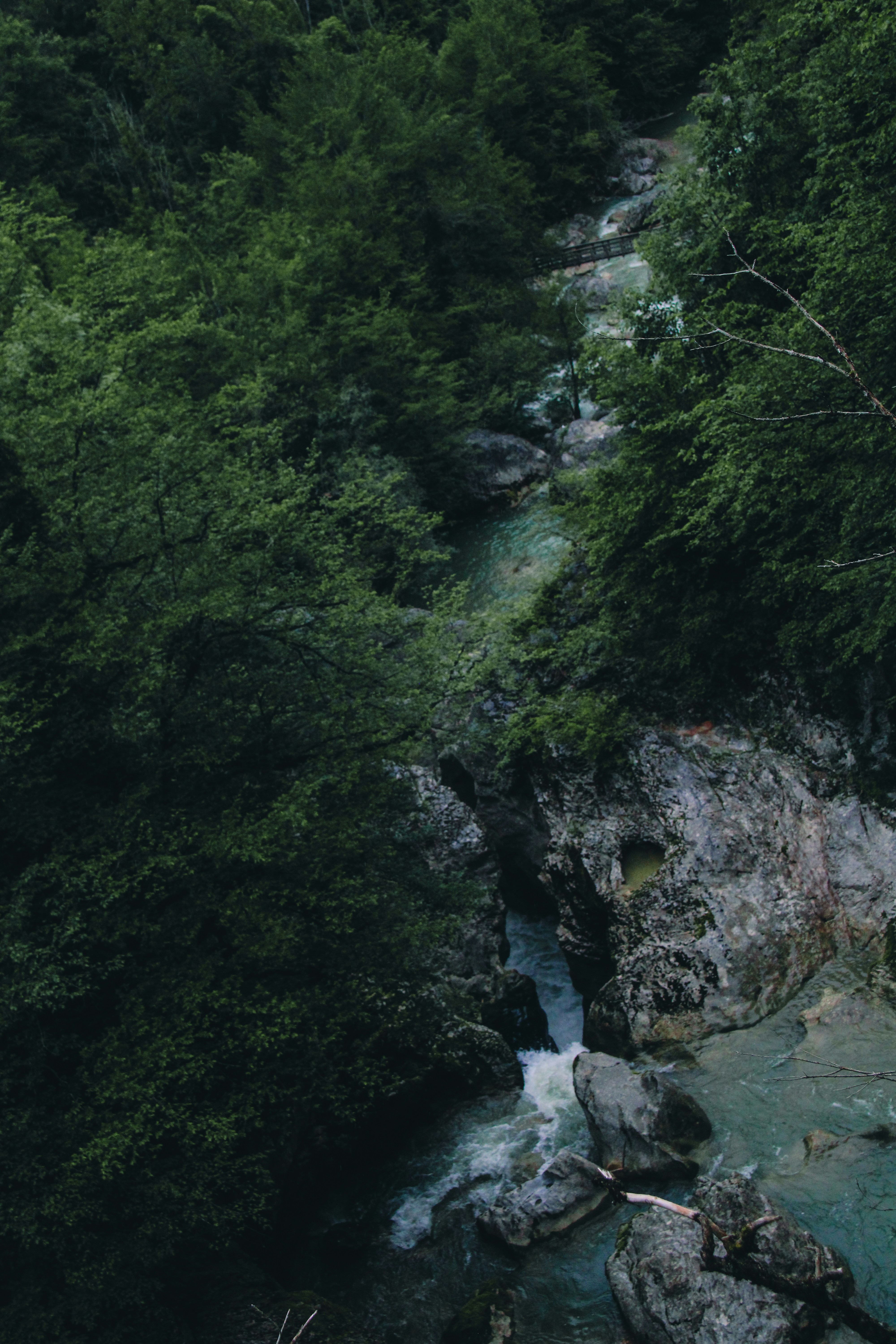 Verdant Gorge: A Quiet Cascade Through Bedrock and Ferns