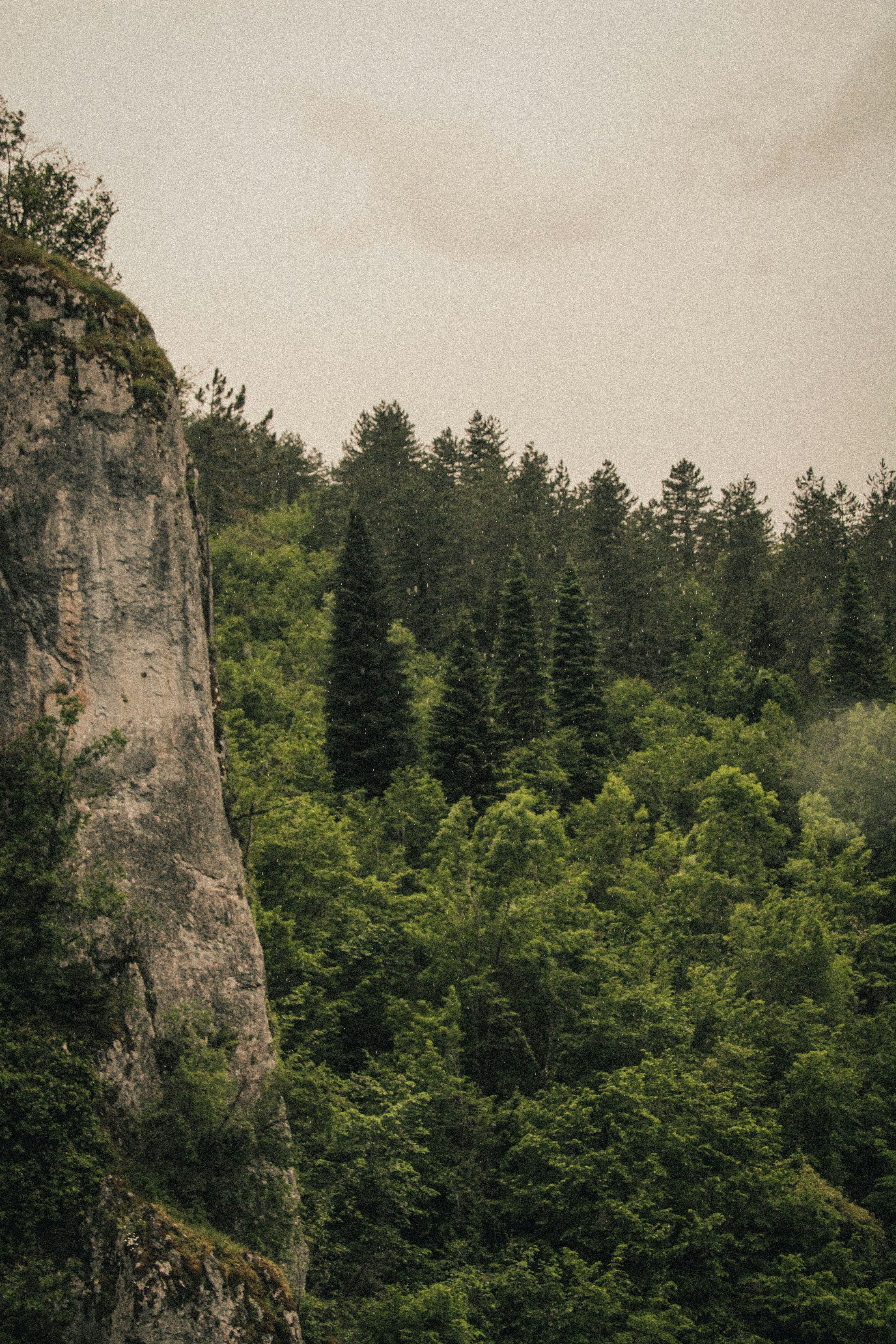 Ledge Edge: Forest Cliffs Framing a Quiet Valley