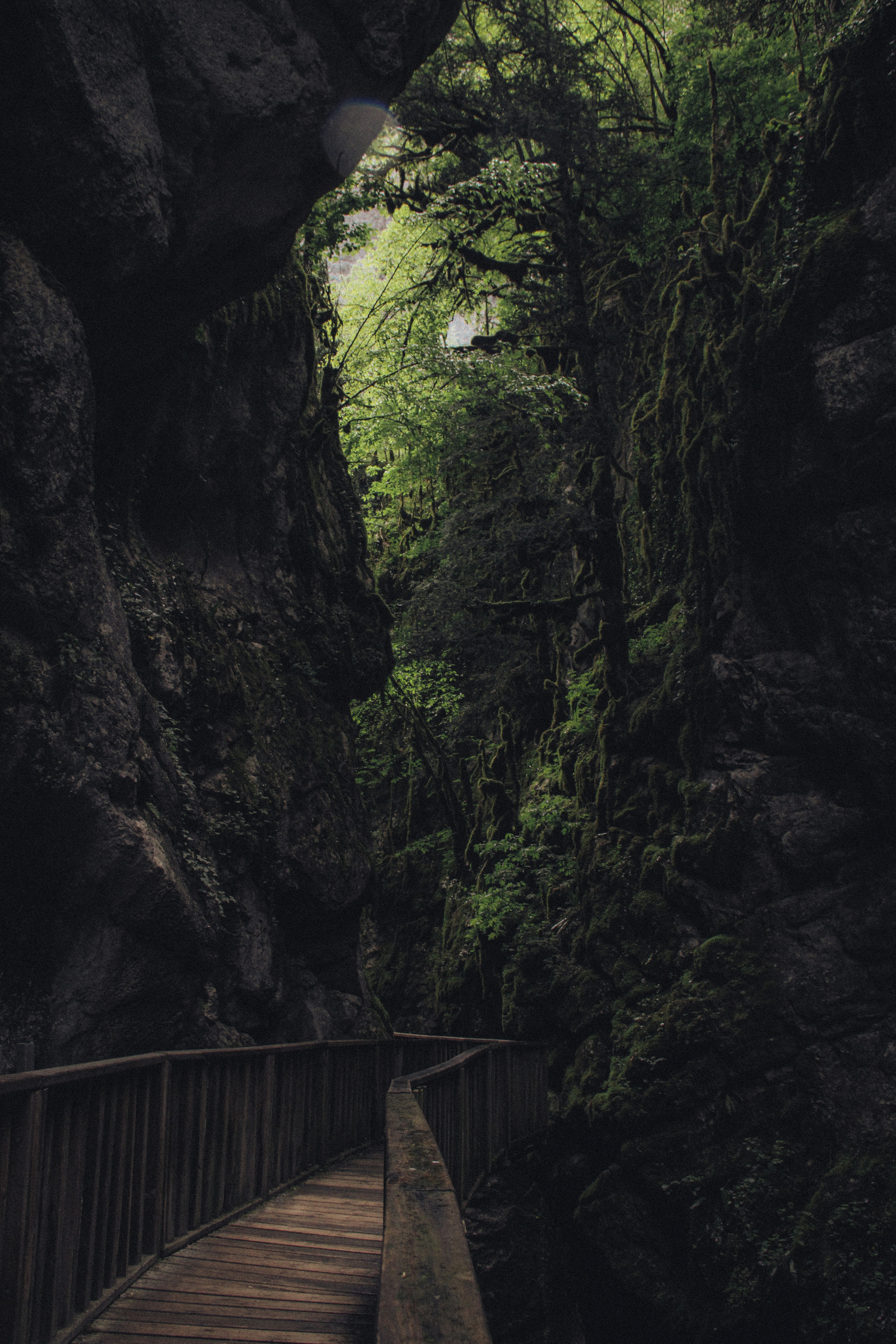 Path Through a Narrow Canyoned Forest
