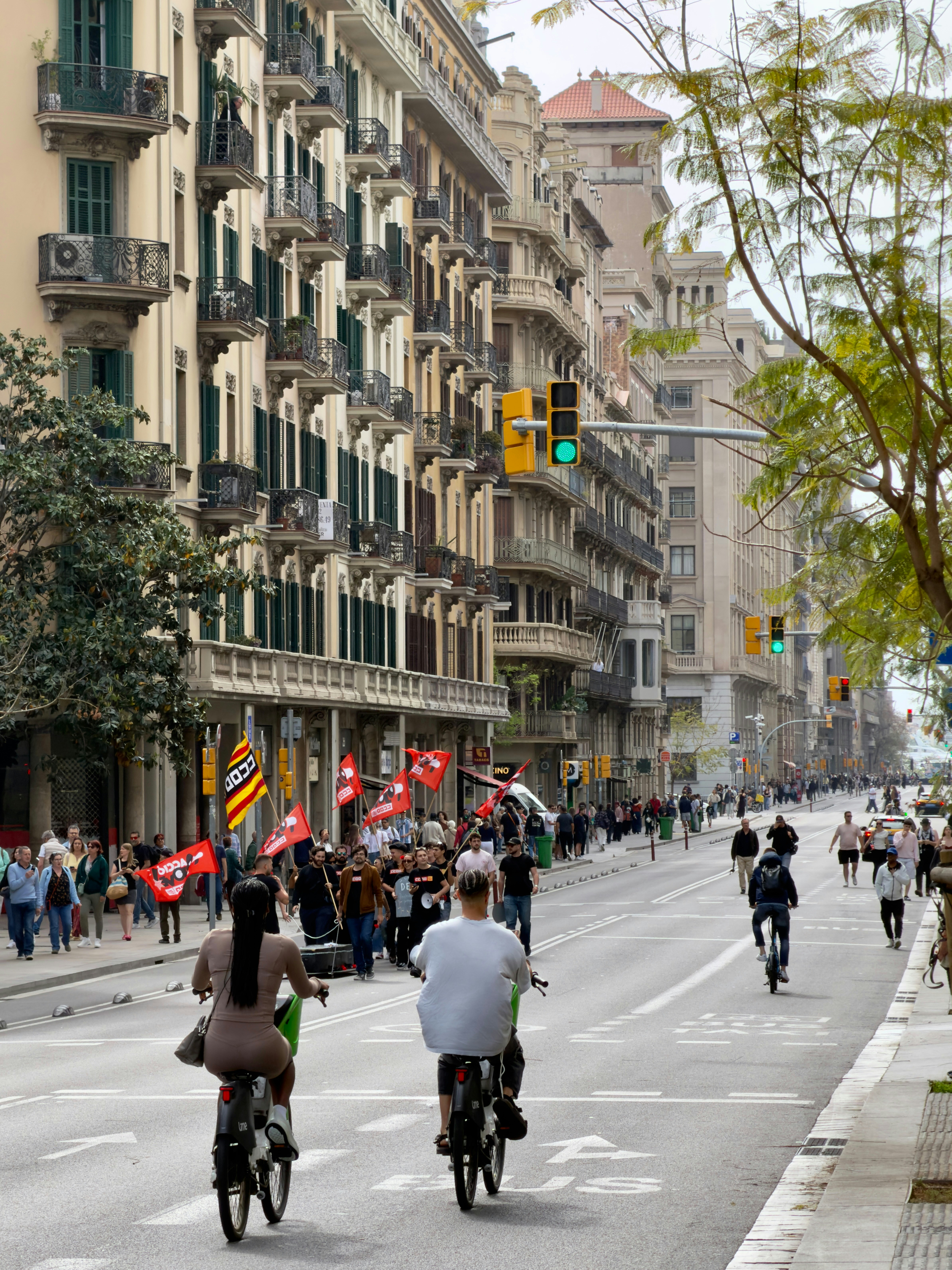 Hands on the Handlebars: City Parade Under the Green Canopy
