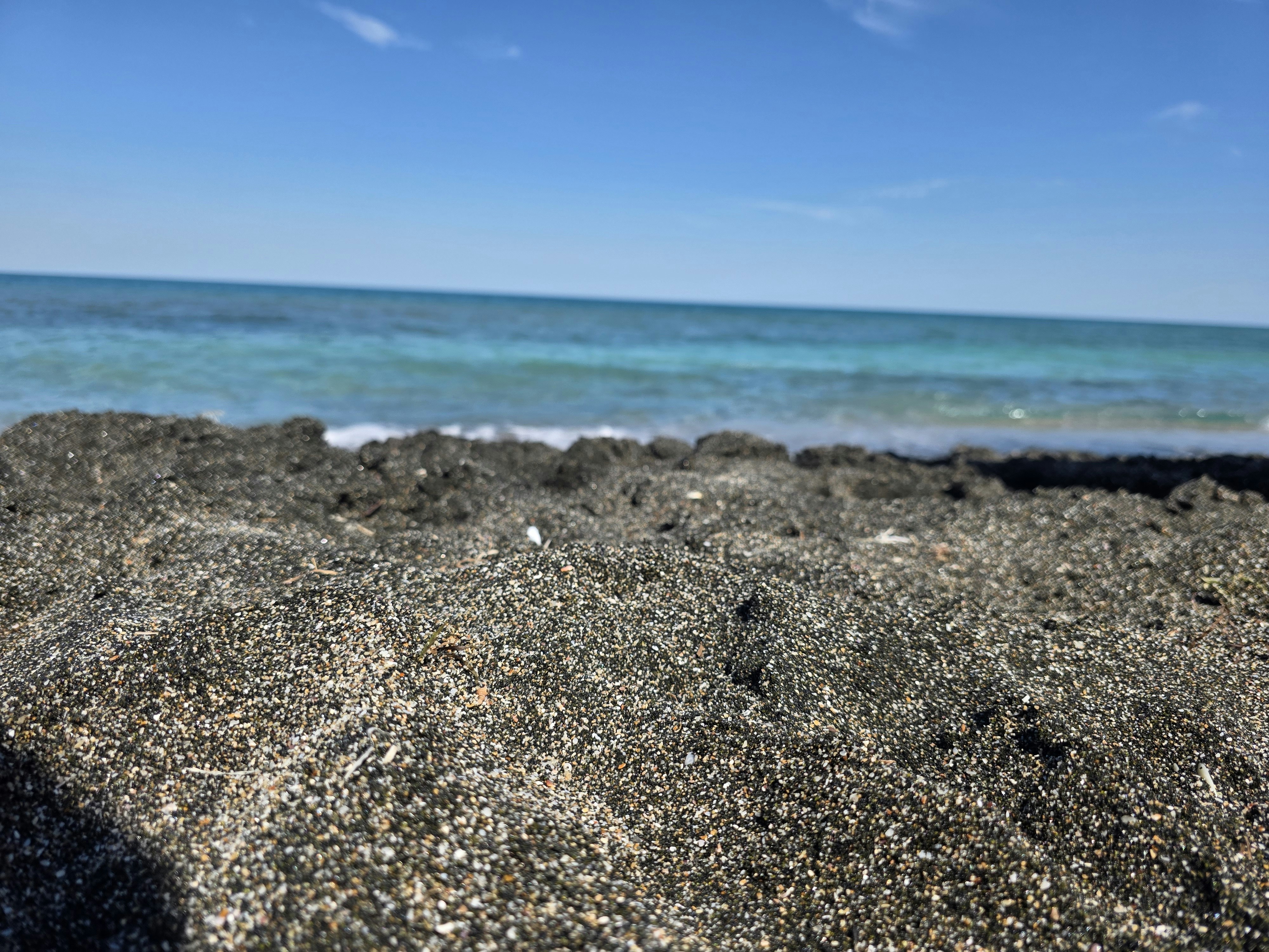 Low Tide, Quiet Shore: Close-Granular Sands Meet Velvet Sea