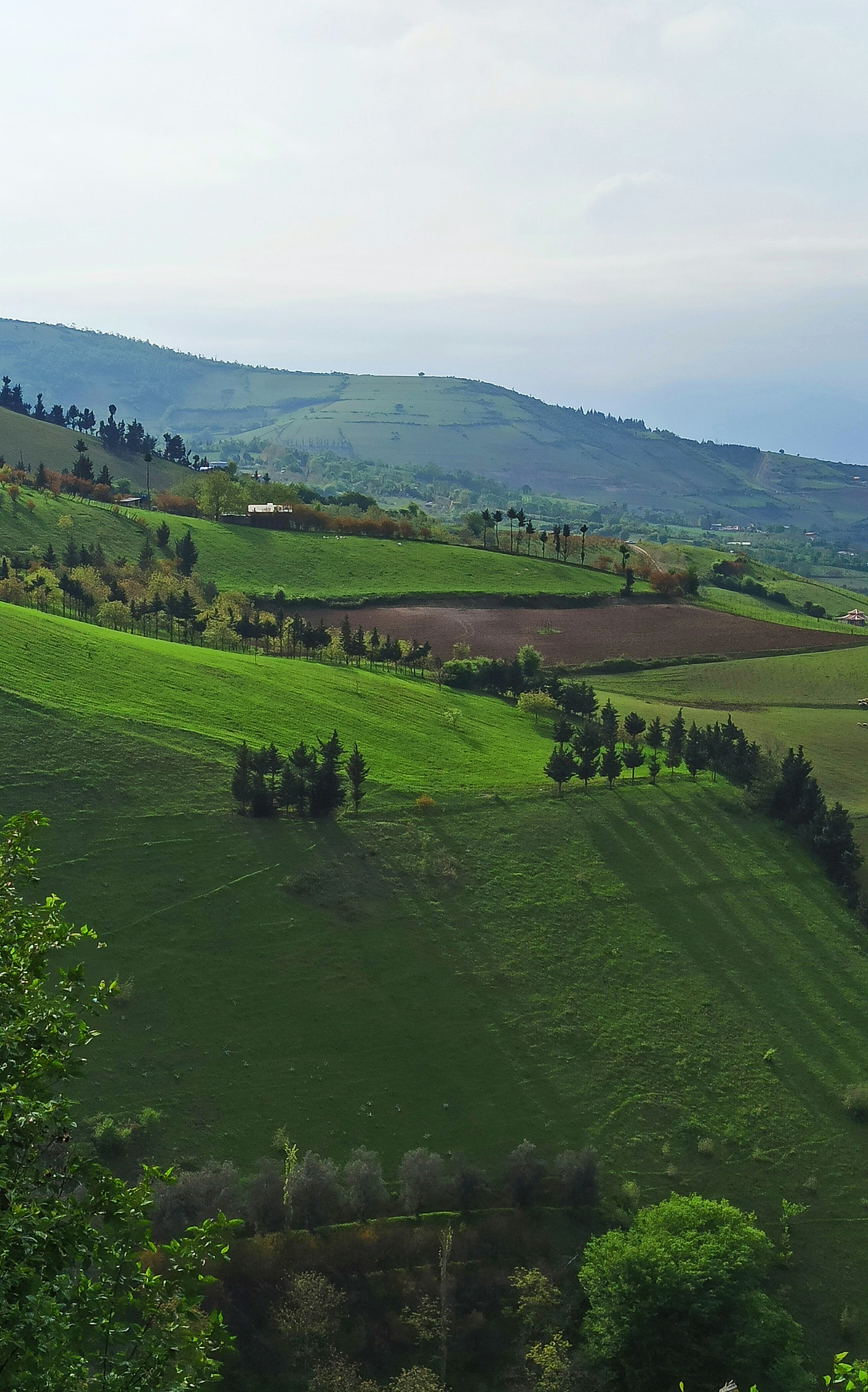 Green rolling hills under a quiet sky