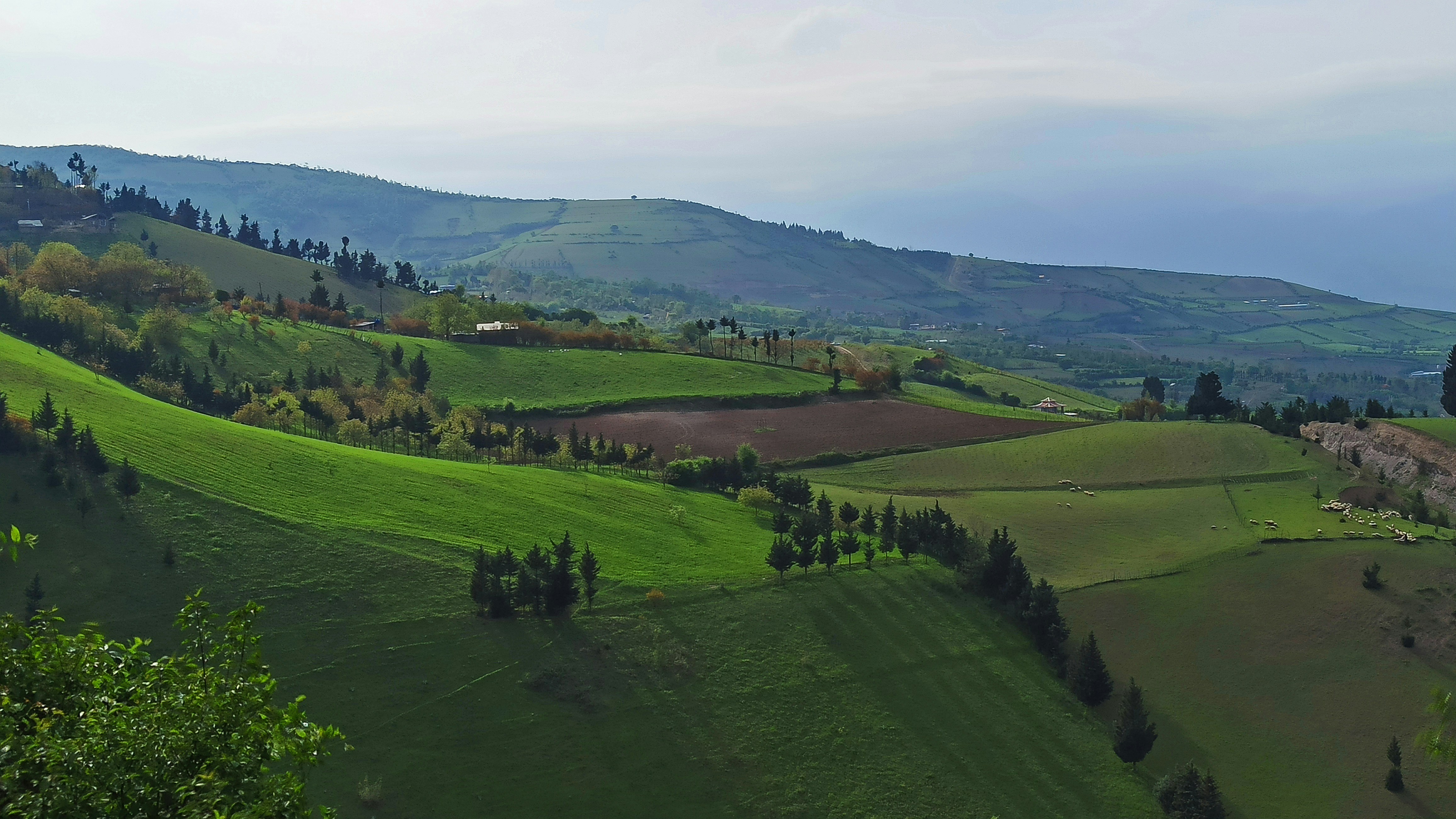 Rolling Green Valleys Under a Quiet Sky