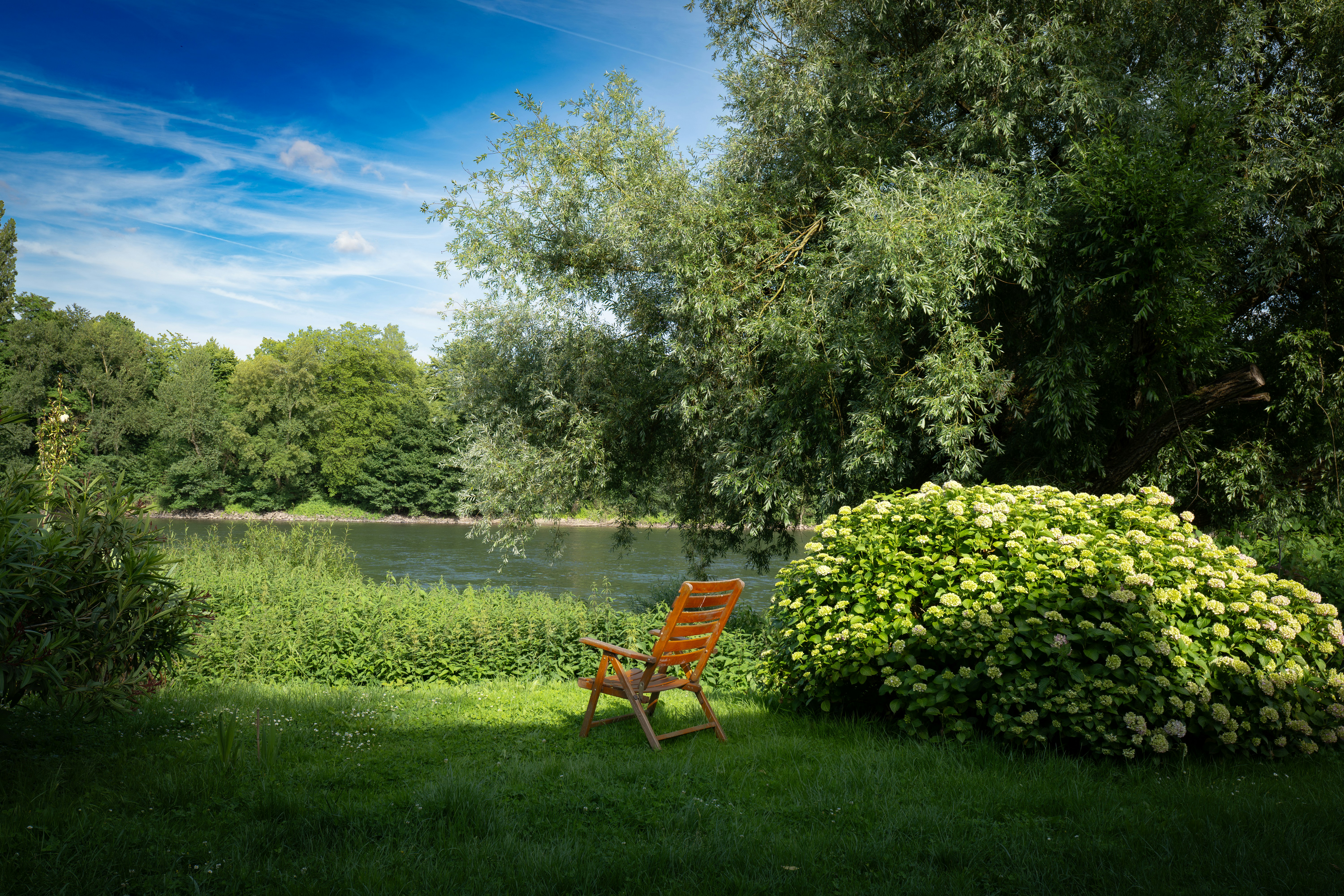 Quiet Riverside Lounge: A Wooden Chair Beside Hydrangeas Under a Blue Sky