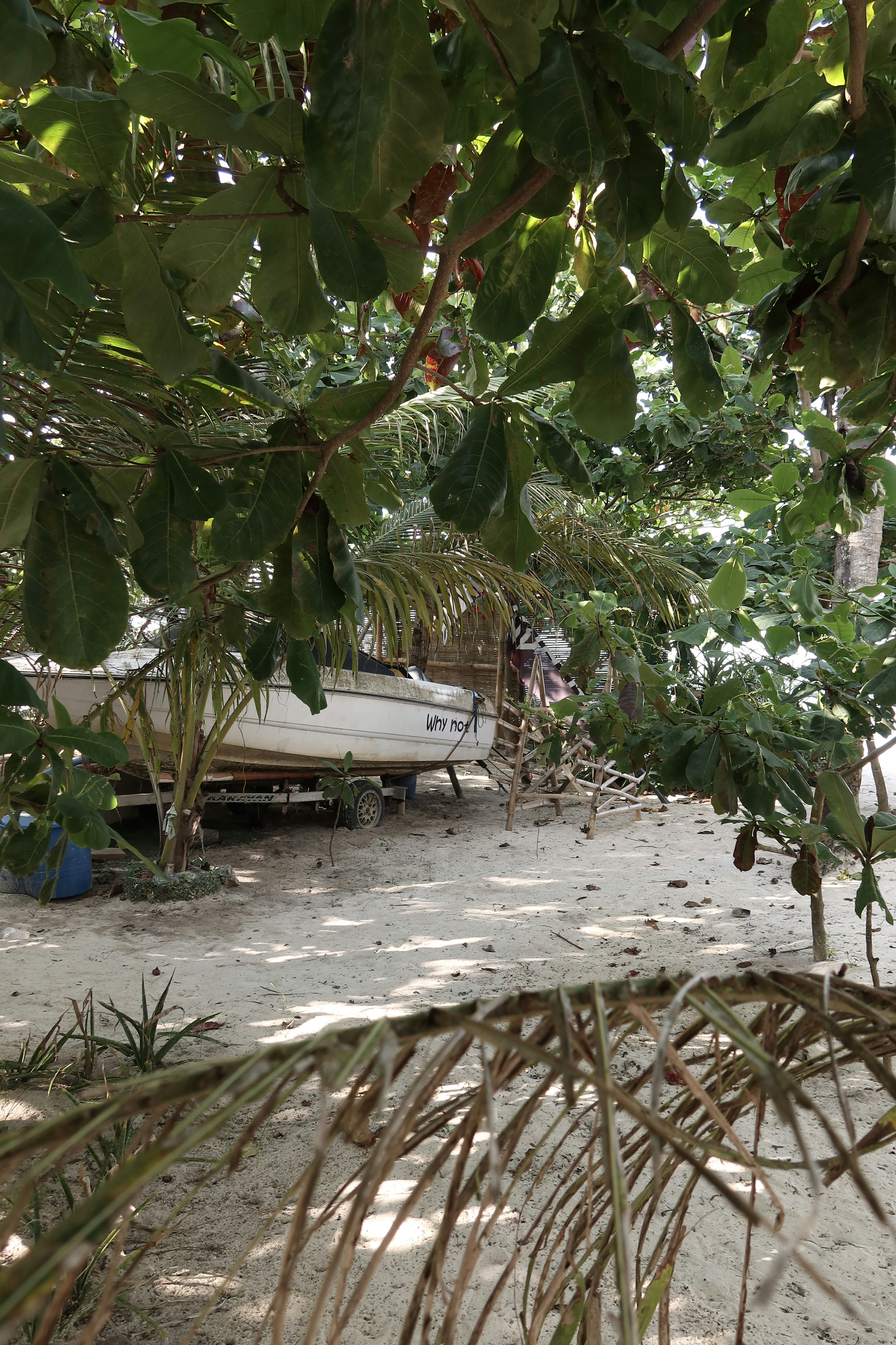Hidden Beachfront Boatyard Between Tropical Foliage