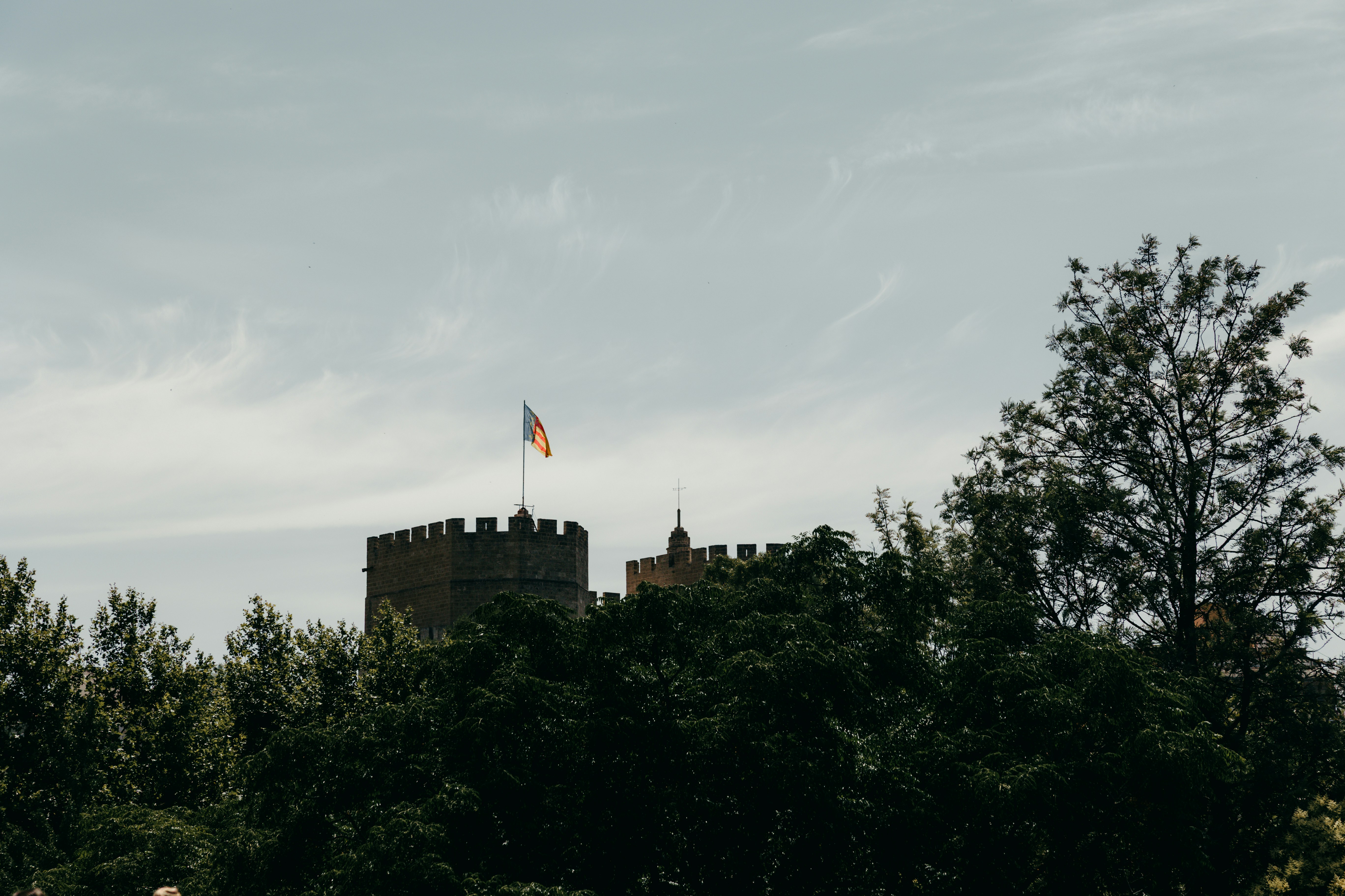 Mosaic of treetops with a distant fortress and flag rising above, a calm skyline behind a dense canopy. A landscape scene highlighting architectural silhouette within a verdant foreground.