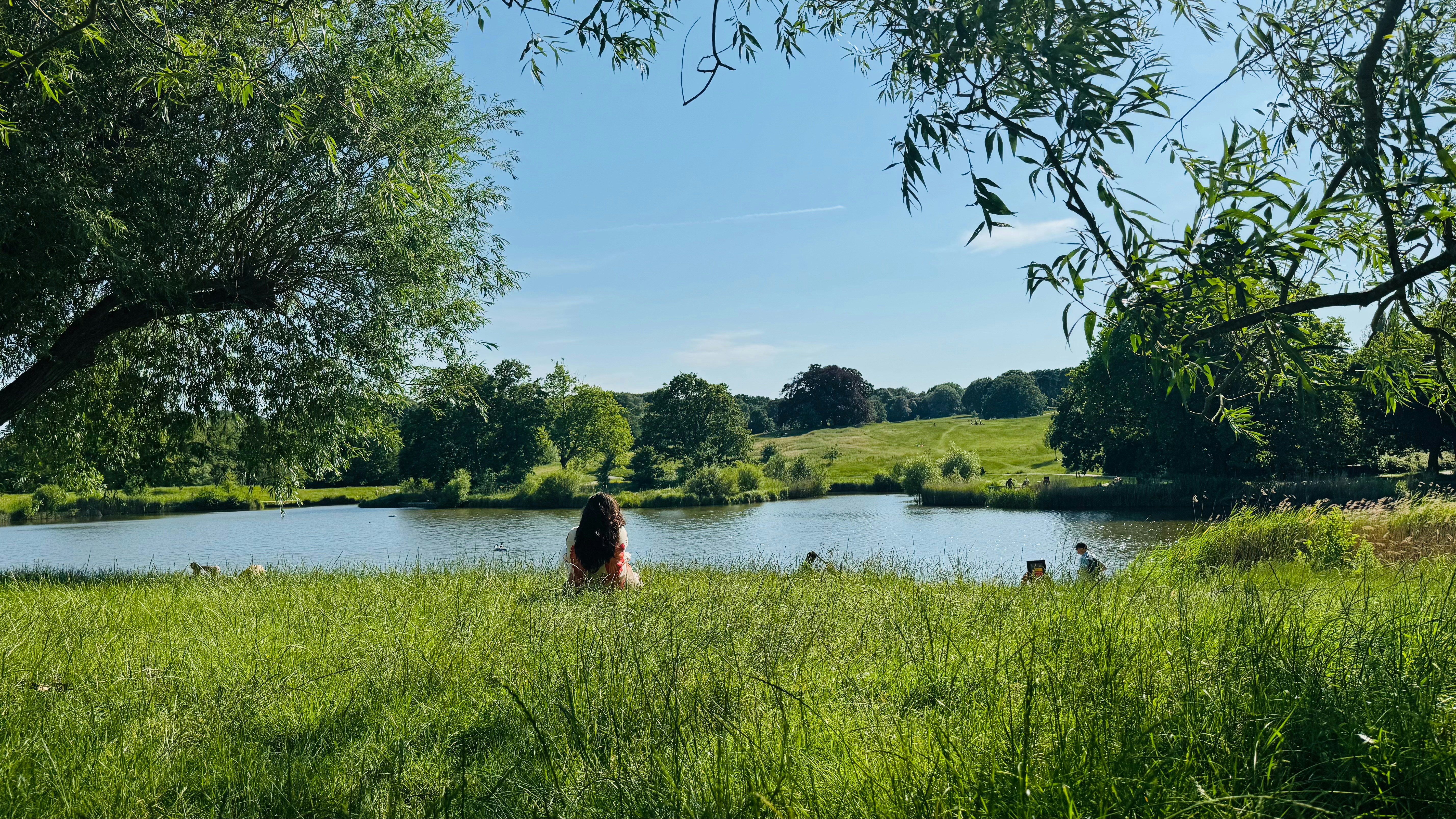 A person seated near a tranquil lake surrounded by tall grasses and trees, with a bright blue sky above.