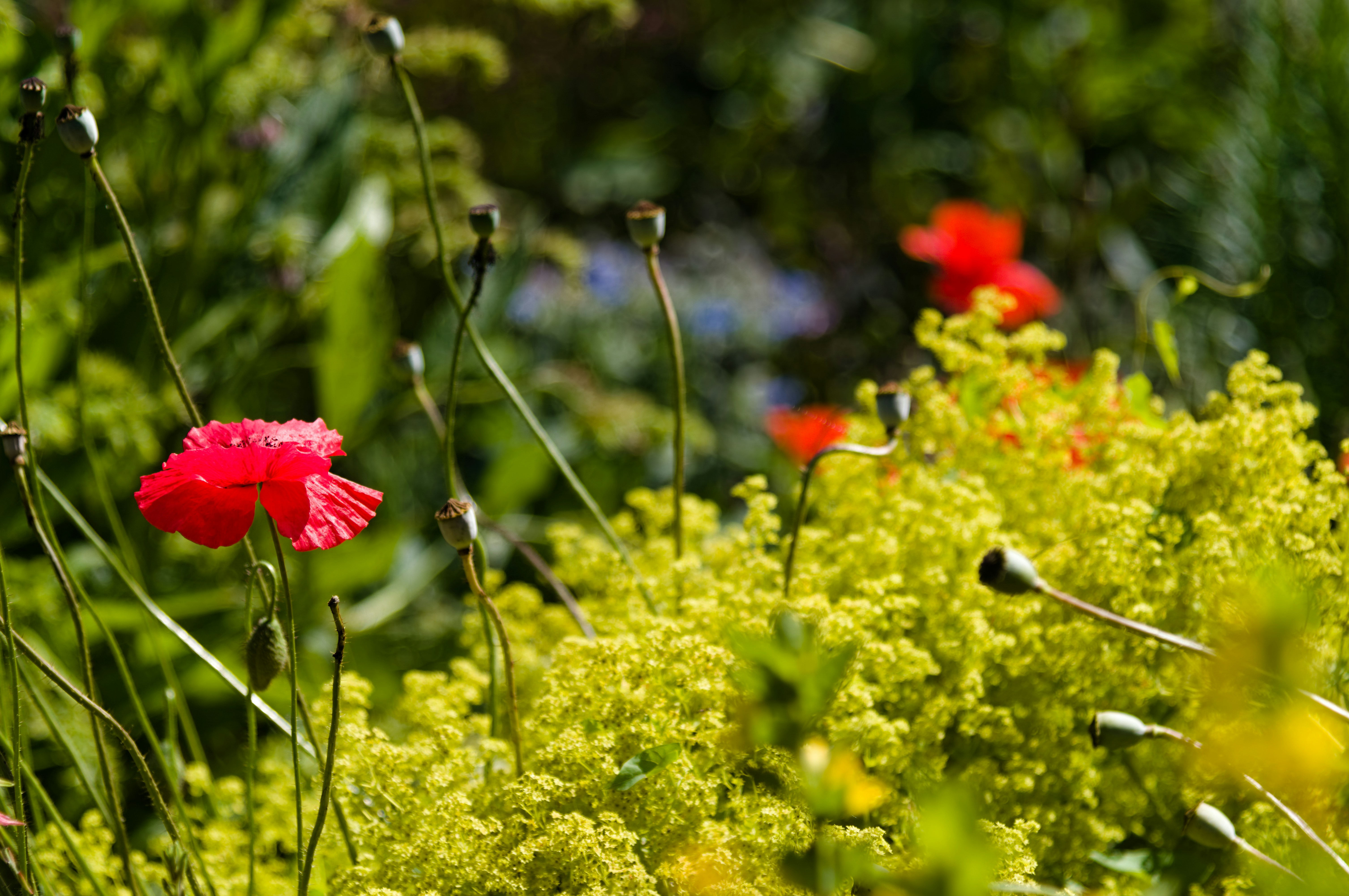 Photo by Artan with Nikon D3200