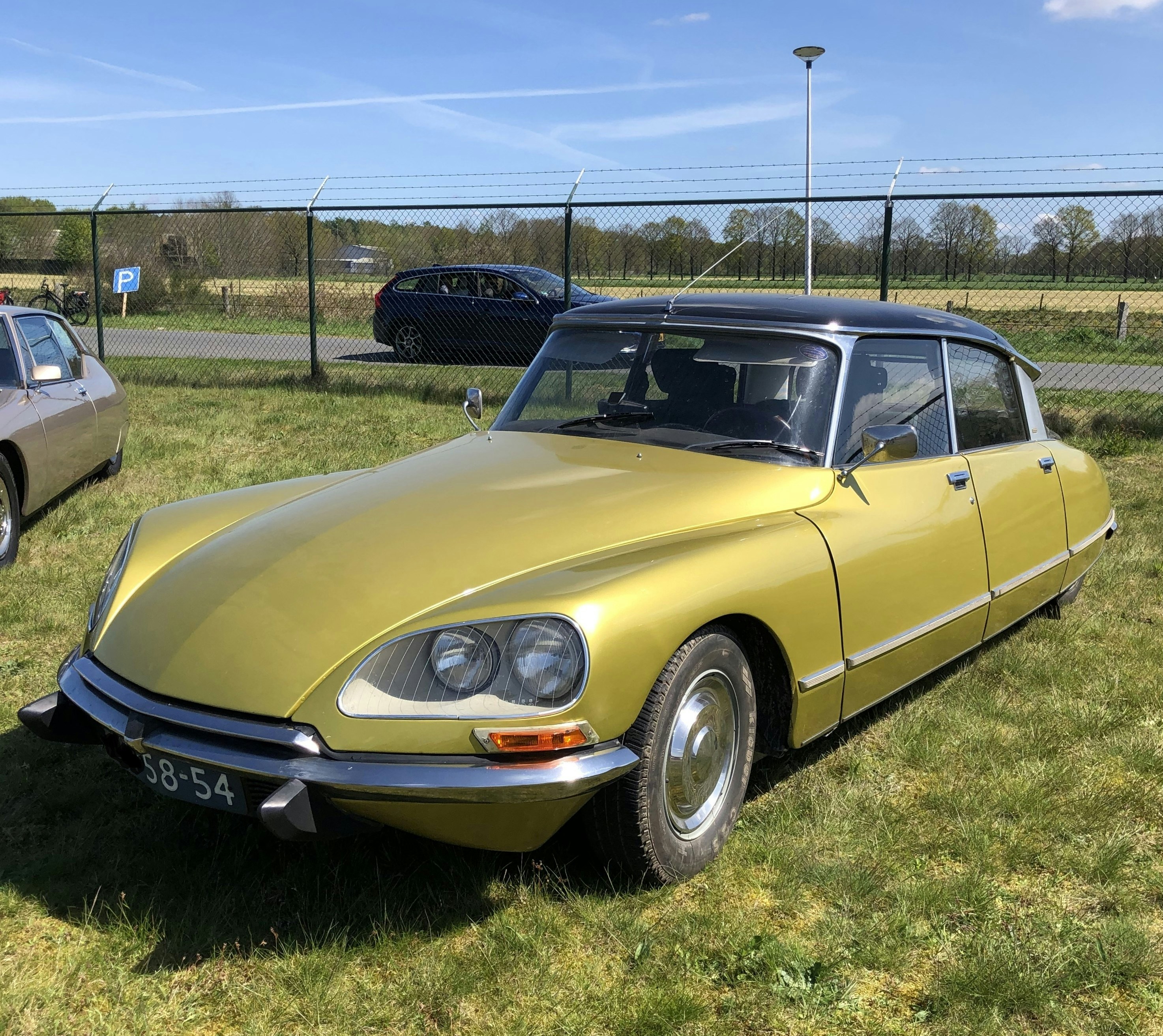 Golden Vector: a vintage Citroën DS in sunlit field