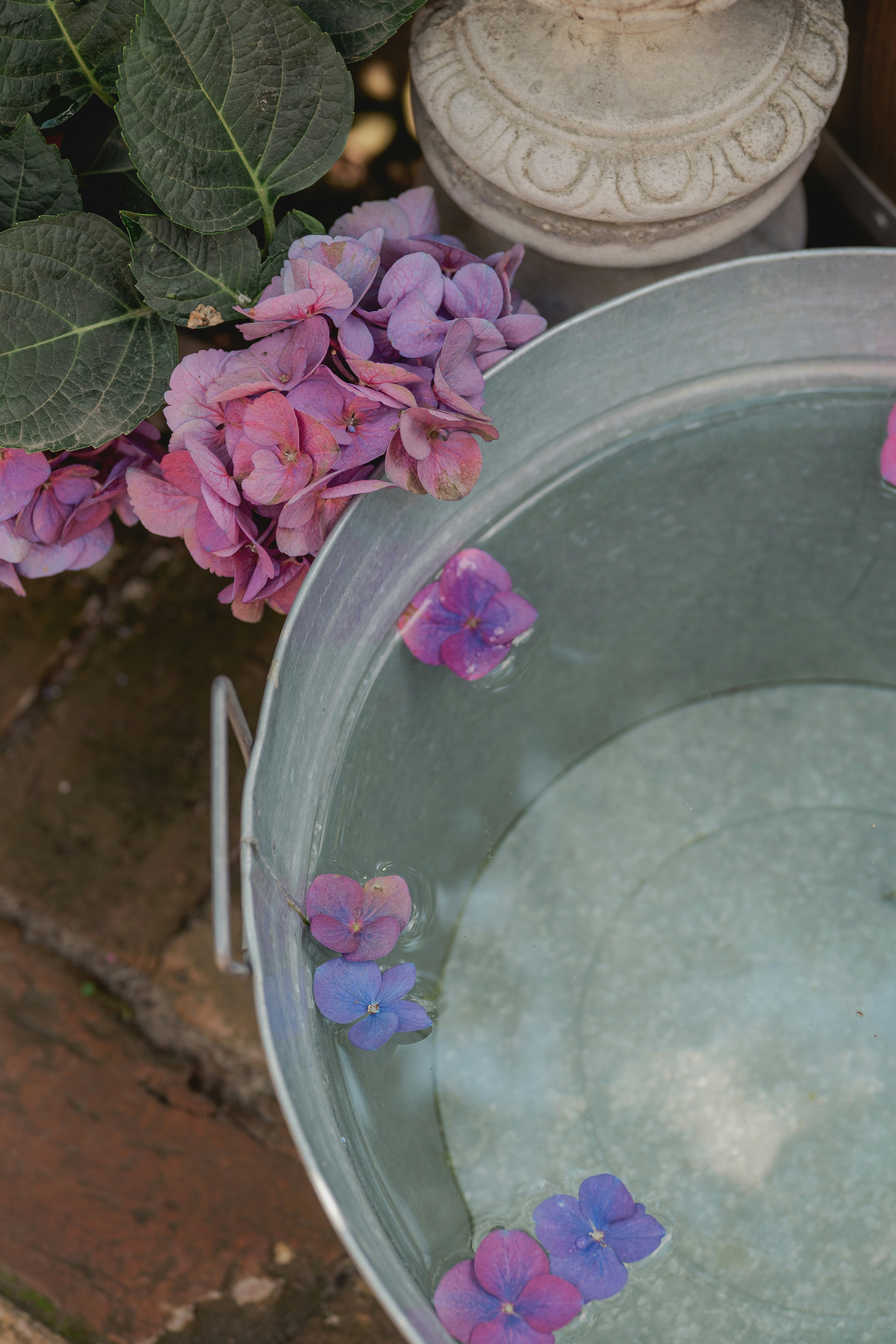Pastel Hydrangea Reflections in a Mossy Alvar Bucket