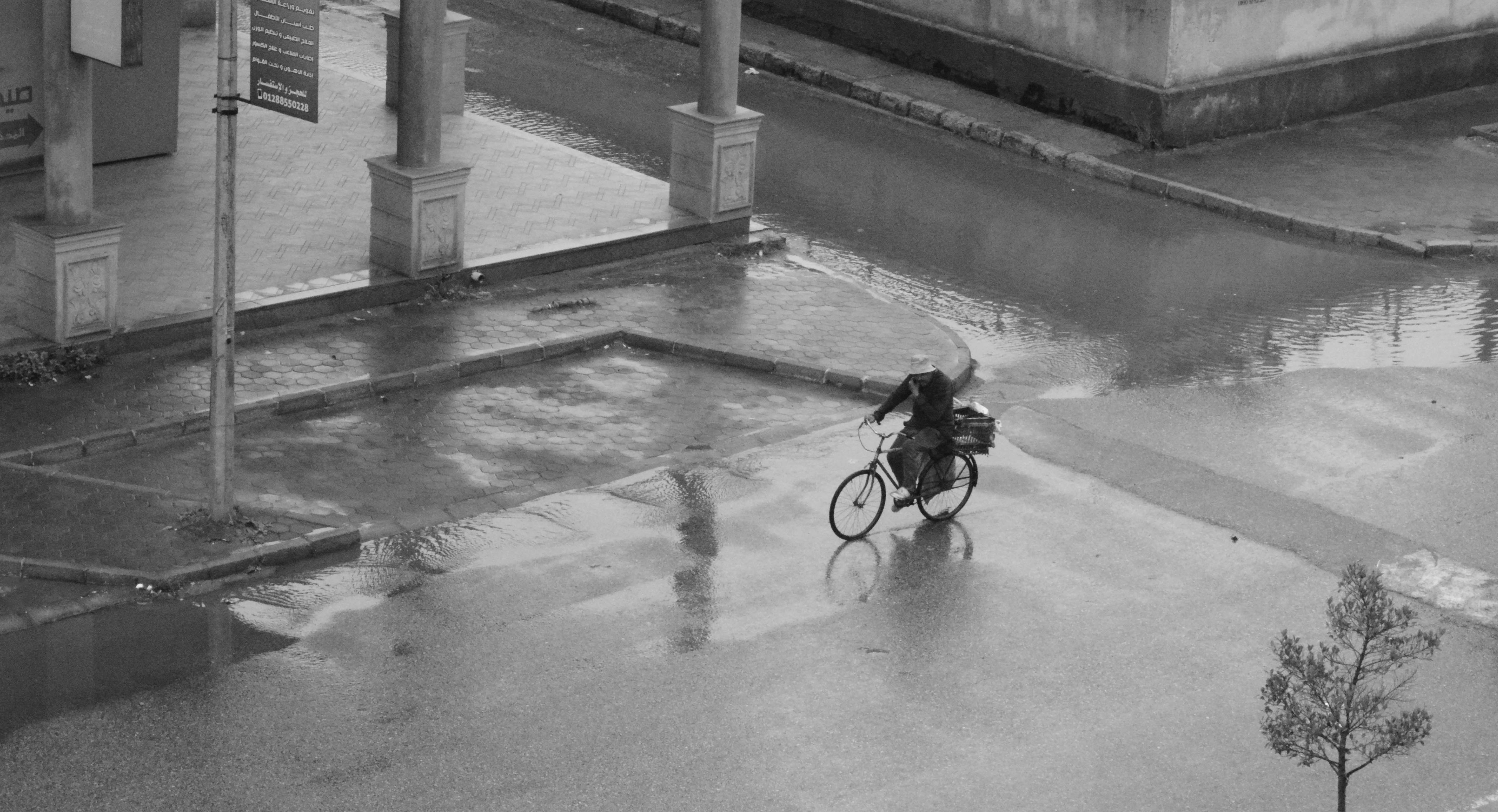 Cyclist in Rain: Solo Journey Across a Quiet Street