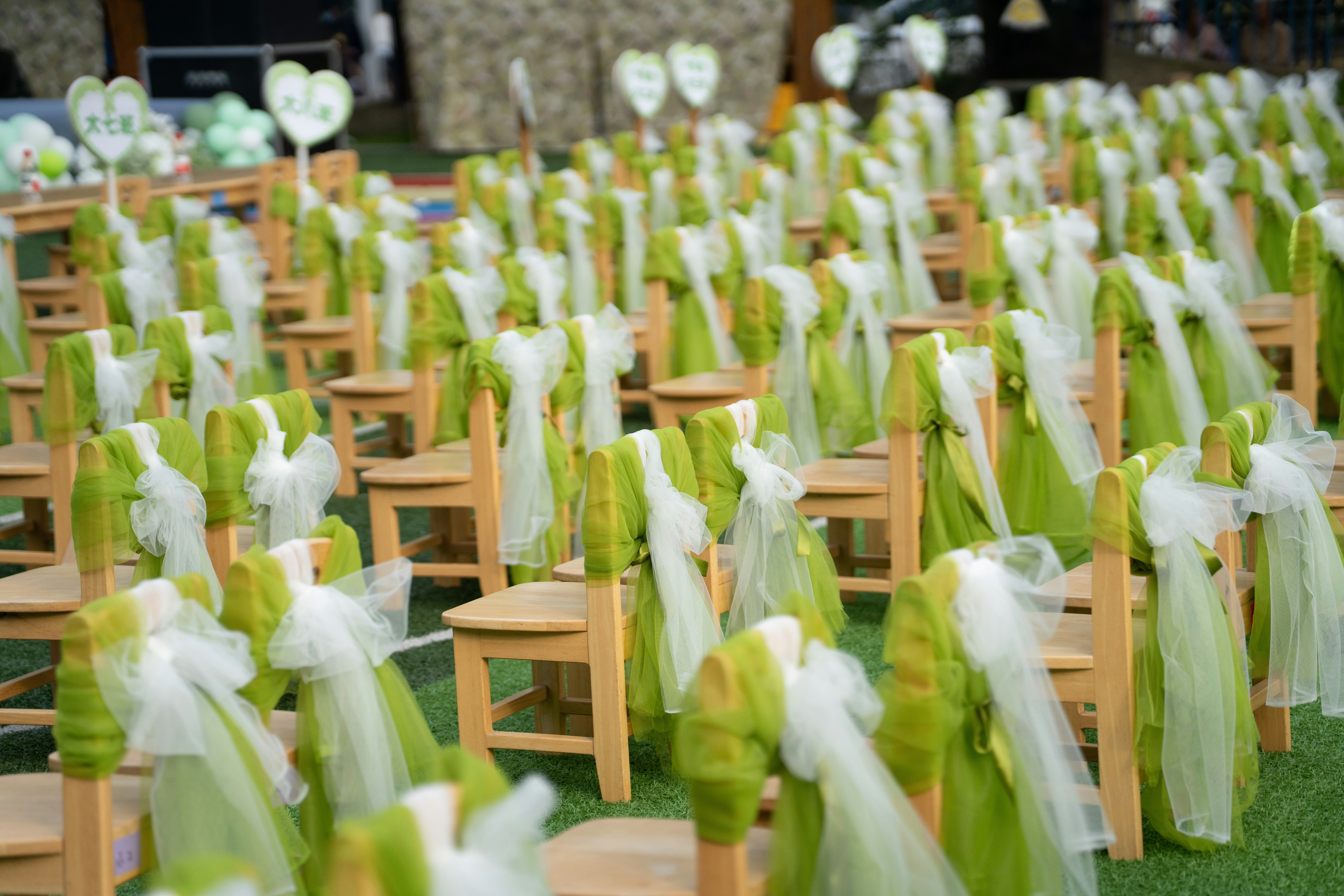 Chairs for a Ceremony: A Green-and-Gold Aisle of Quiet Expectation