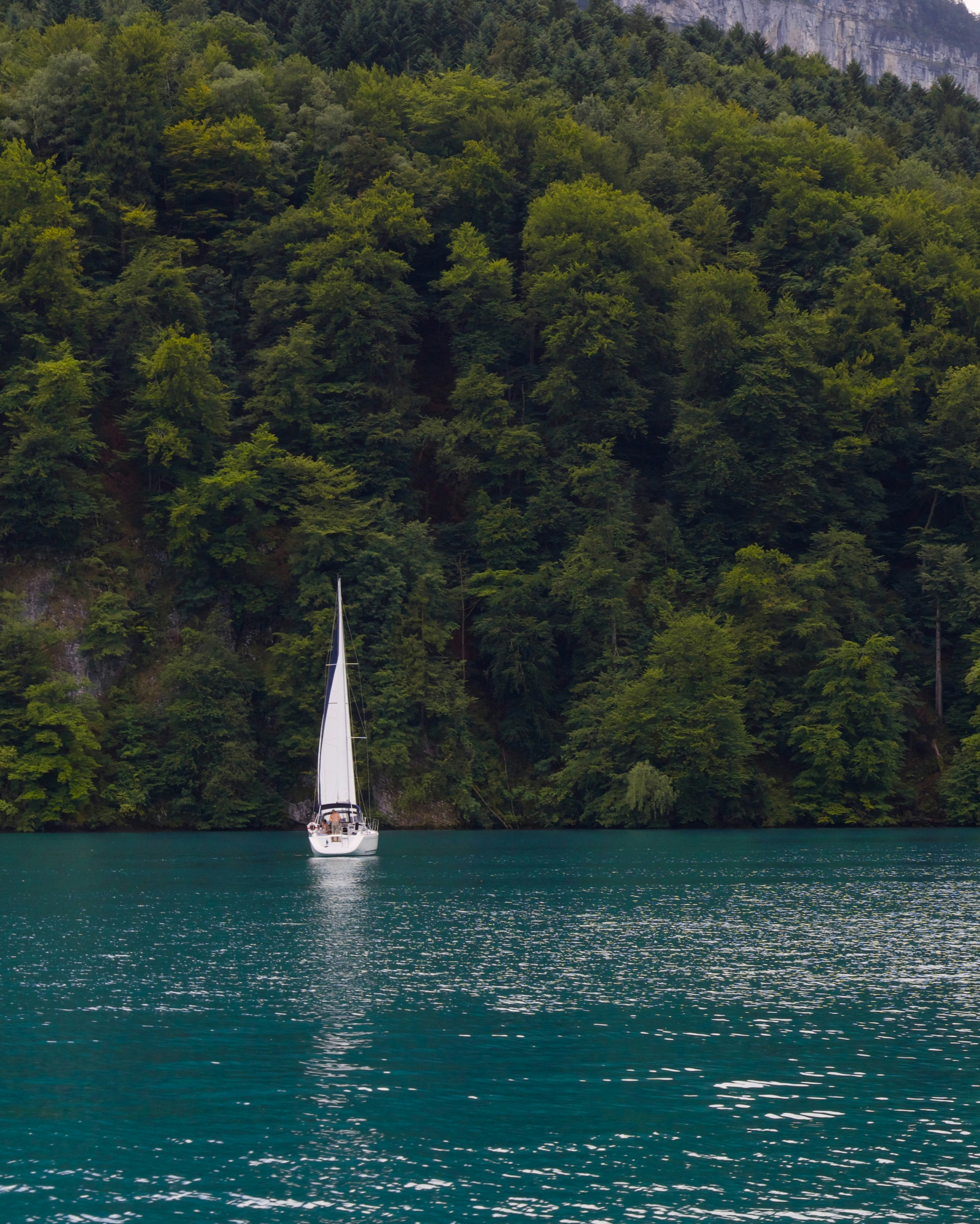 Sailboat Threading the Green Edge of Lake