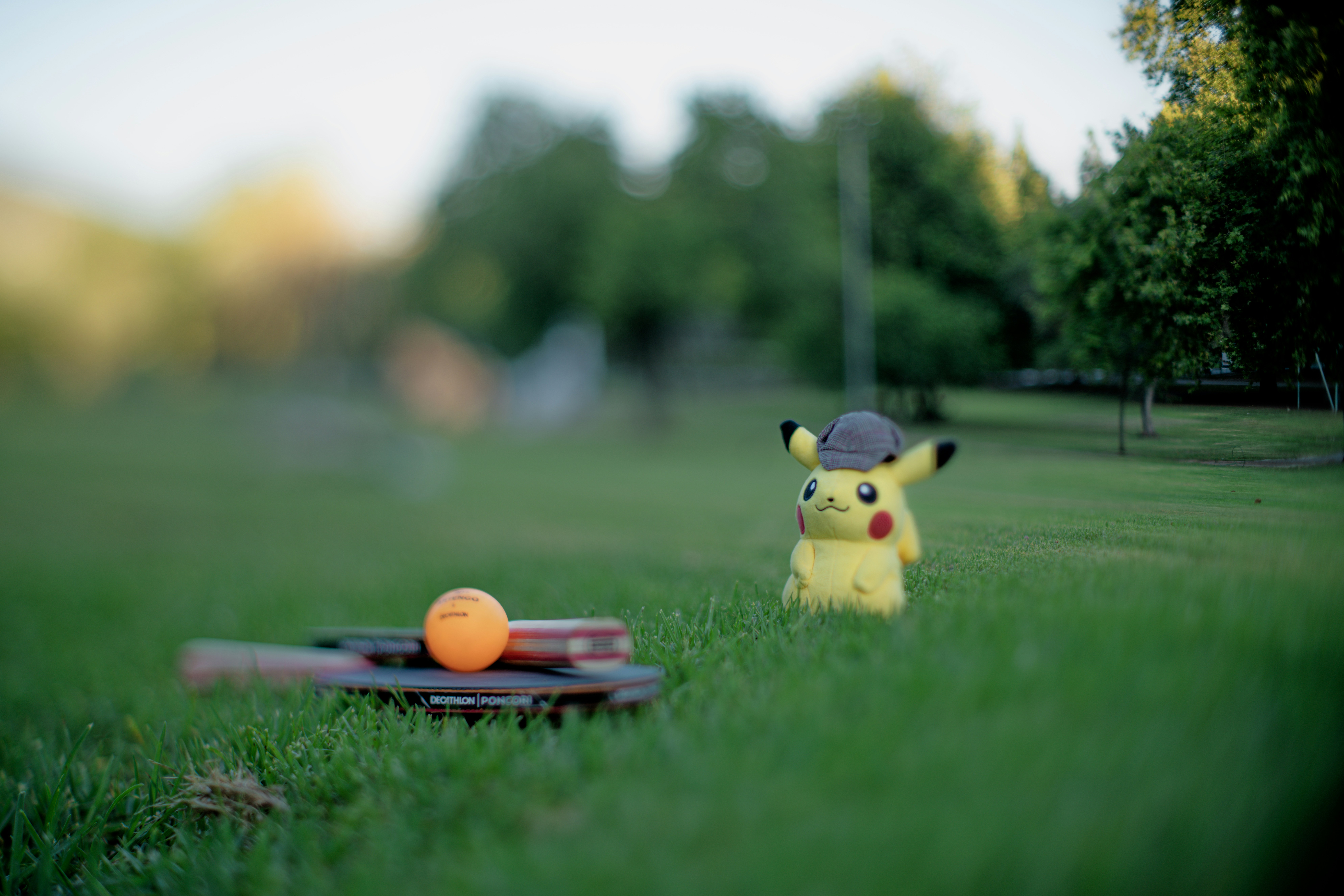 Pikachu on the Lawn: A Quiet Park Moment