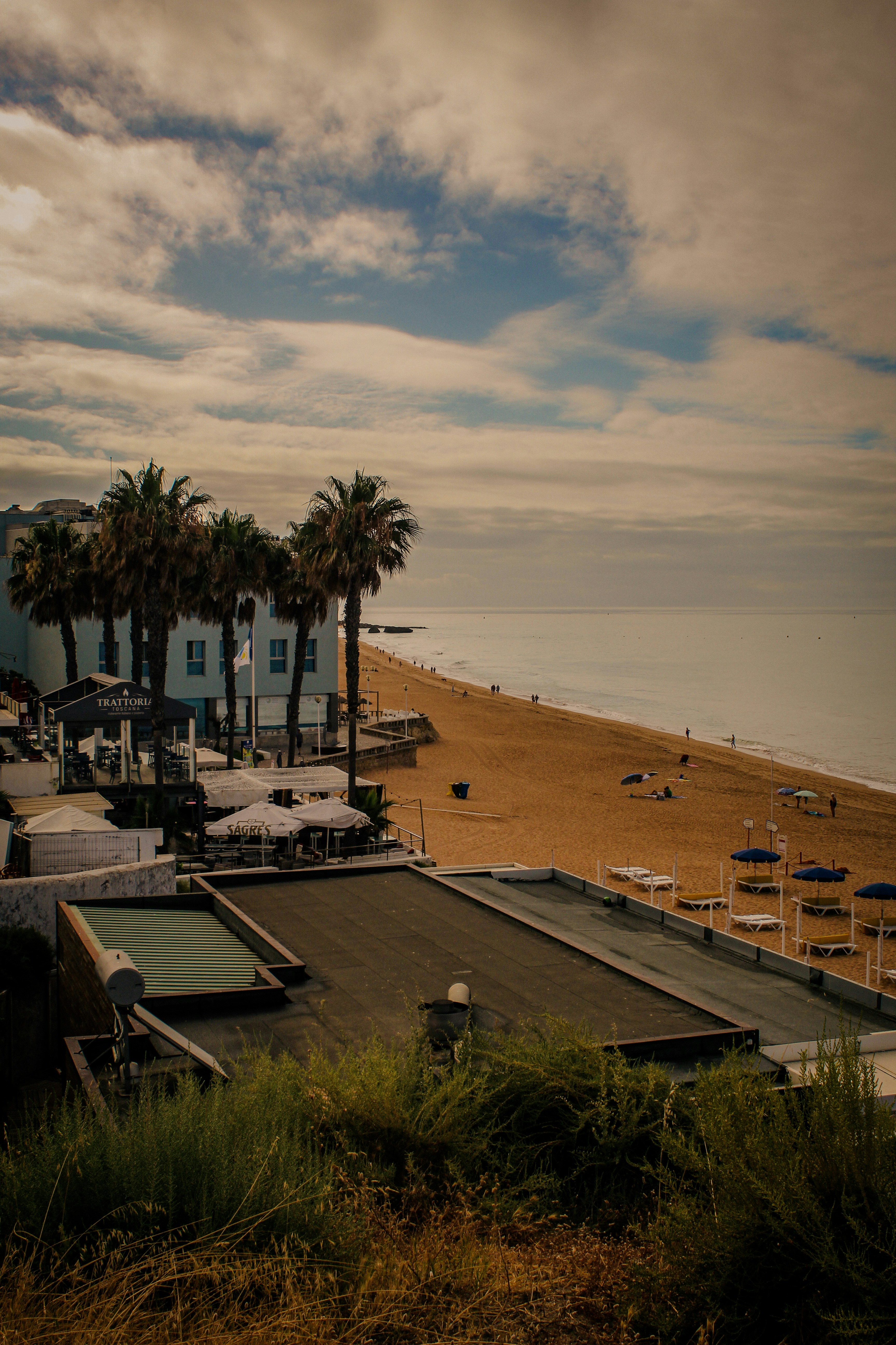 Sunlit promenade: palms, terraces and golden shoreline
