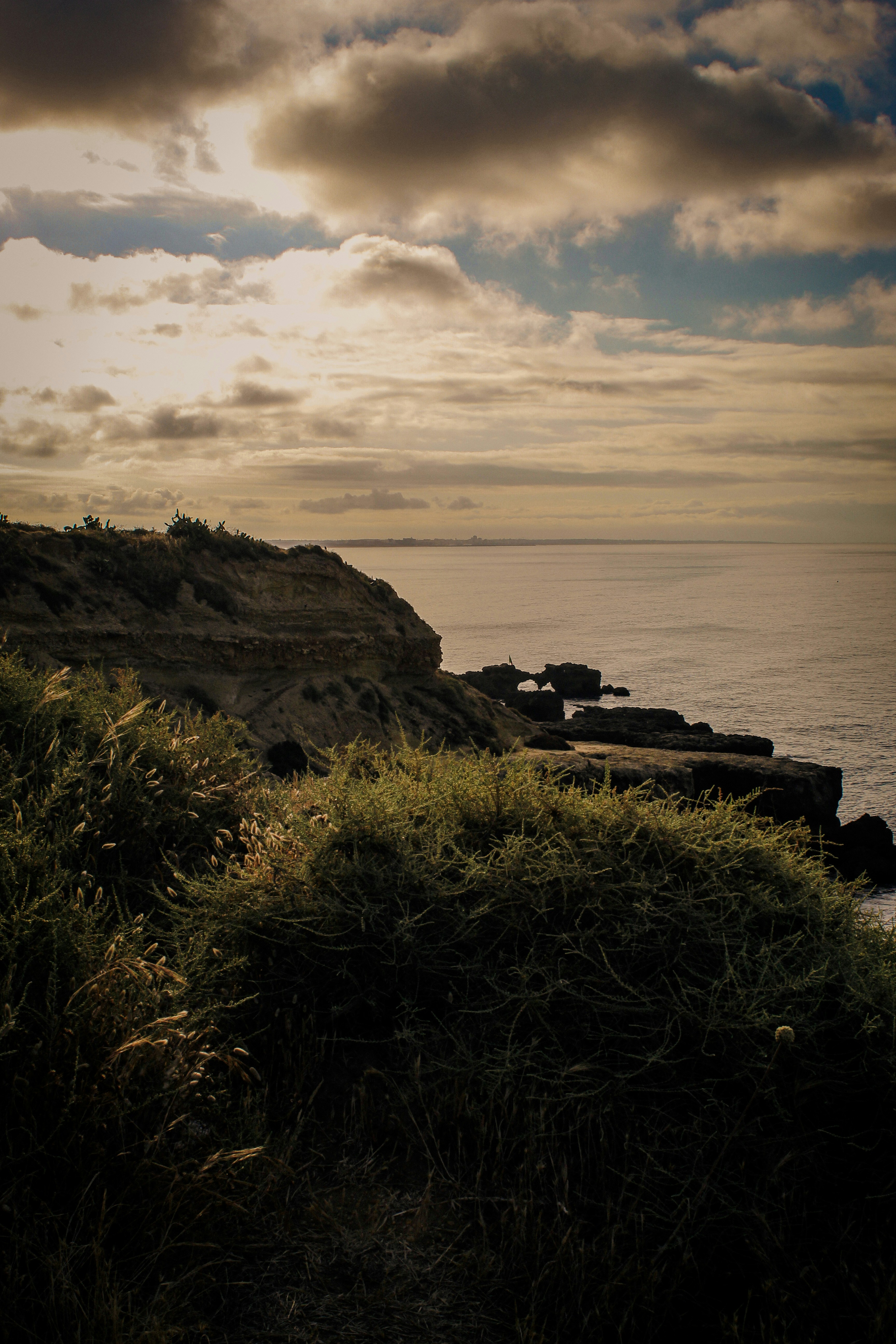 Sunlit coastal cliffs and foreground shrubs frame a calm sea under a dramatic, cloud-filled sky.