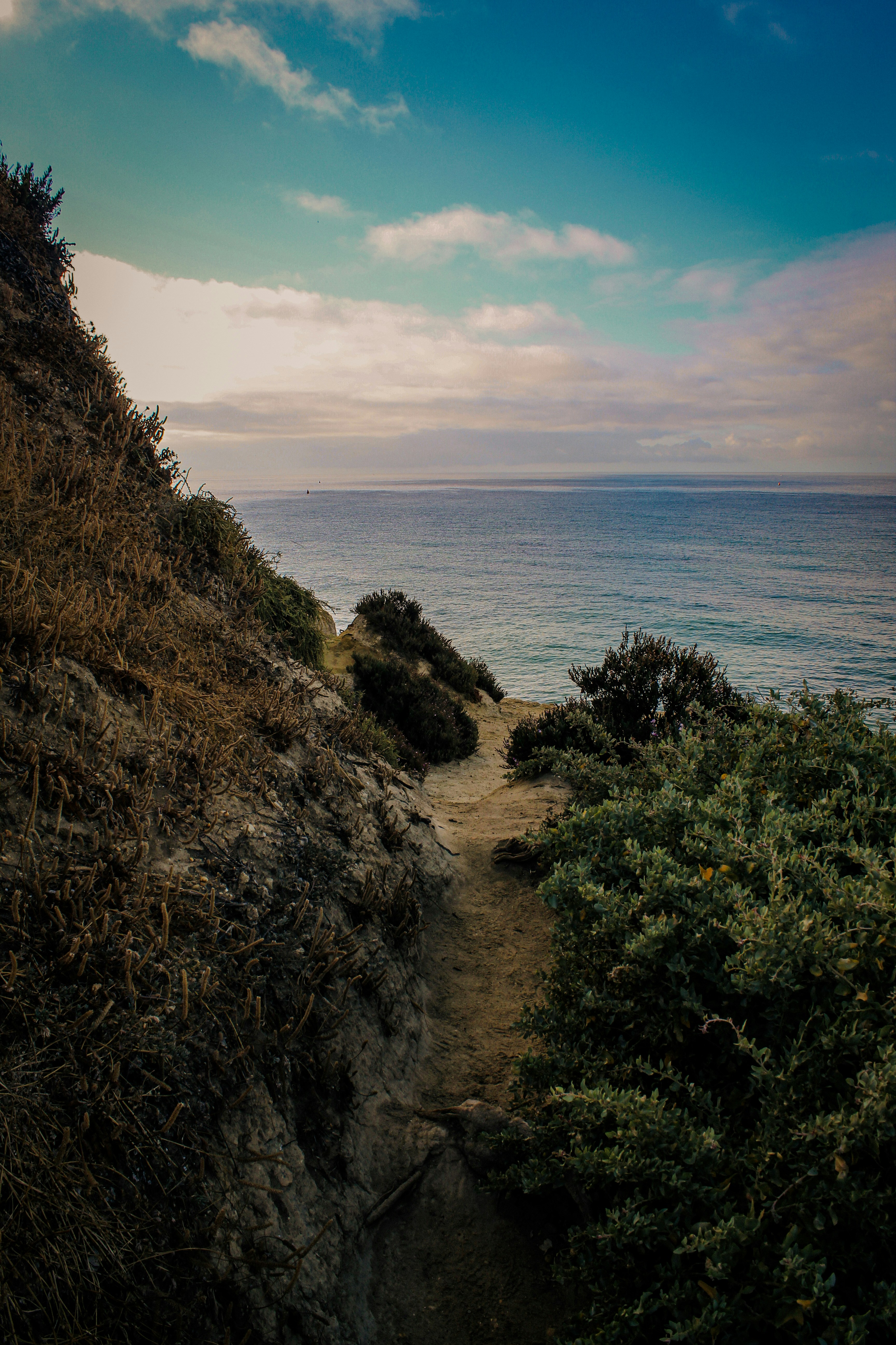 Footpath to the Sea: Cliffside Trail Opening to the Horizon