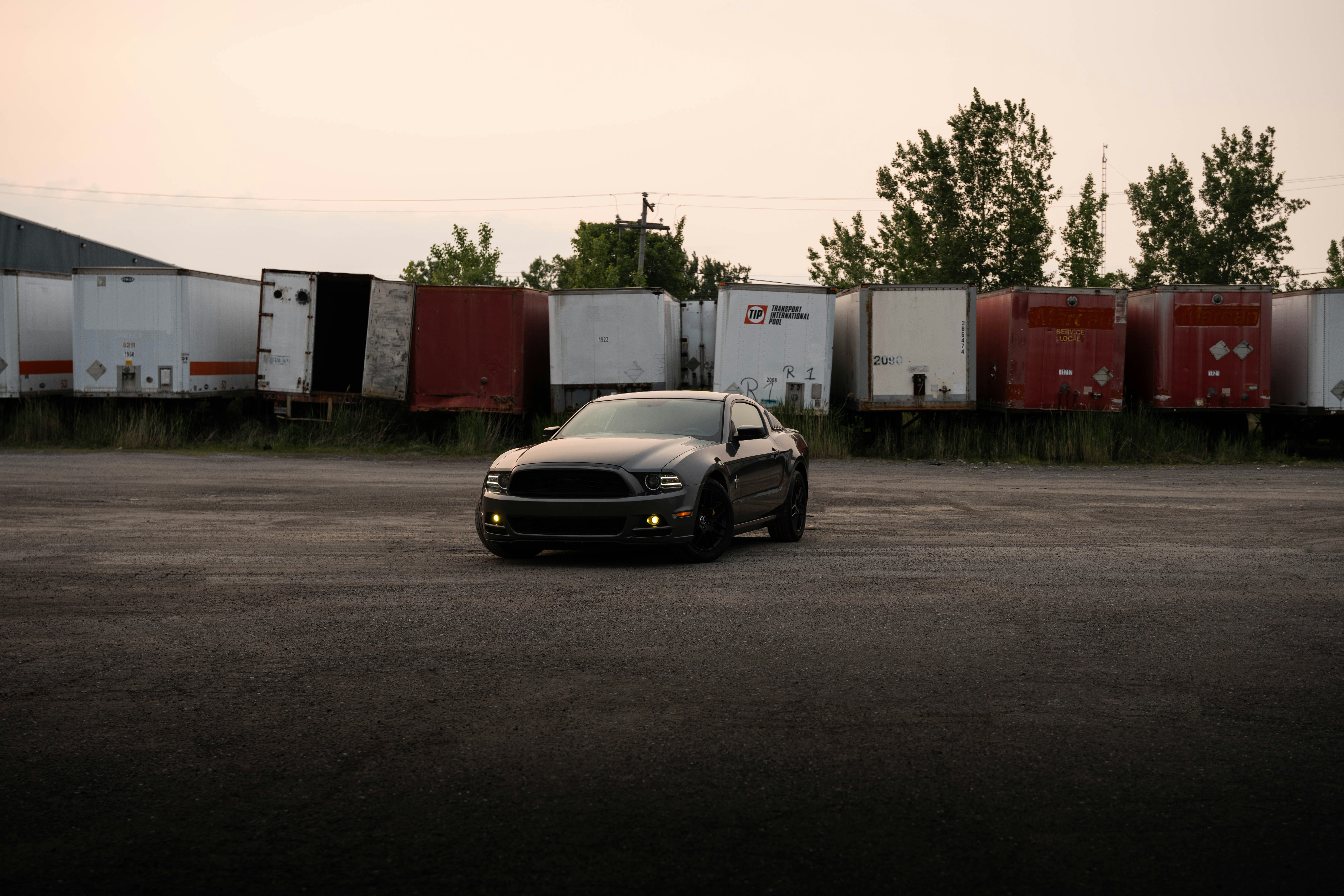 Midnight Stallion: A Black Mustang Slips Through a Row of Empty Trailers