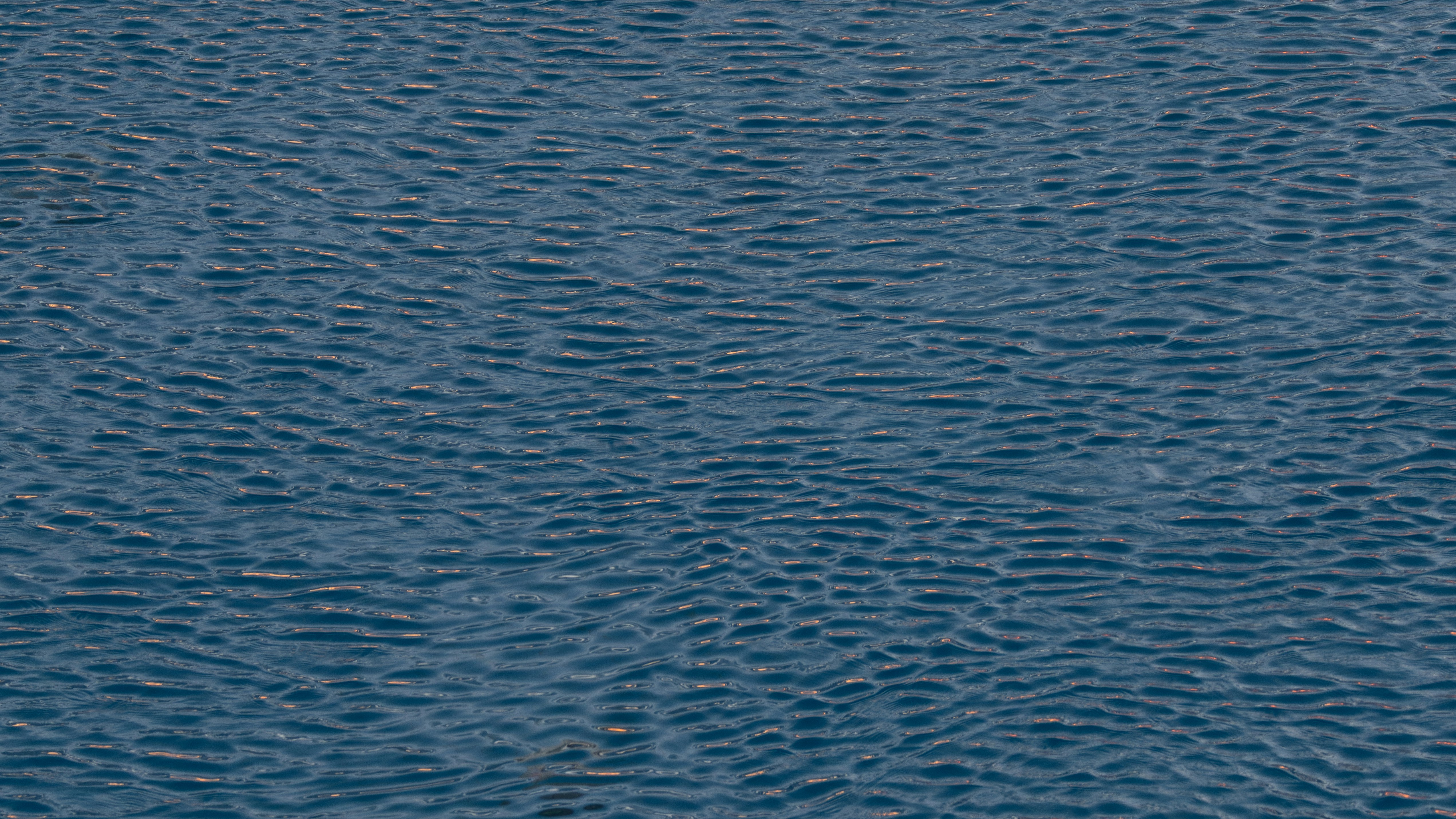 Close-up of sunlit ripples on a blue water surface, capturing texture and movement with calm, even lighting. A photographic study of aquatic reflections and pattern.