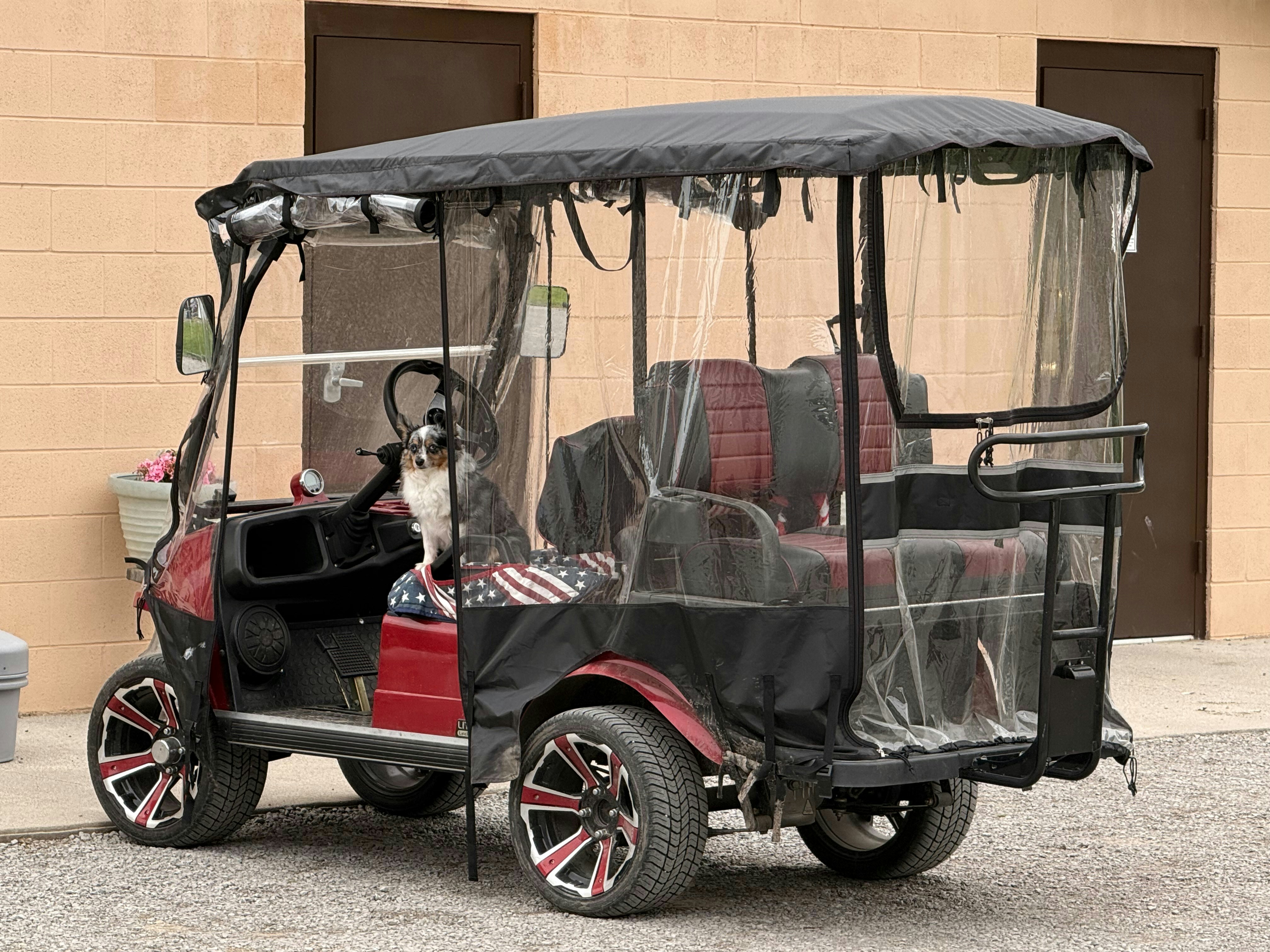 Open-Air Golf Cart: A Patriotic Ride with Clear Plastic Enclosure