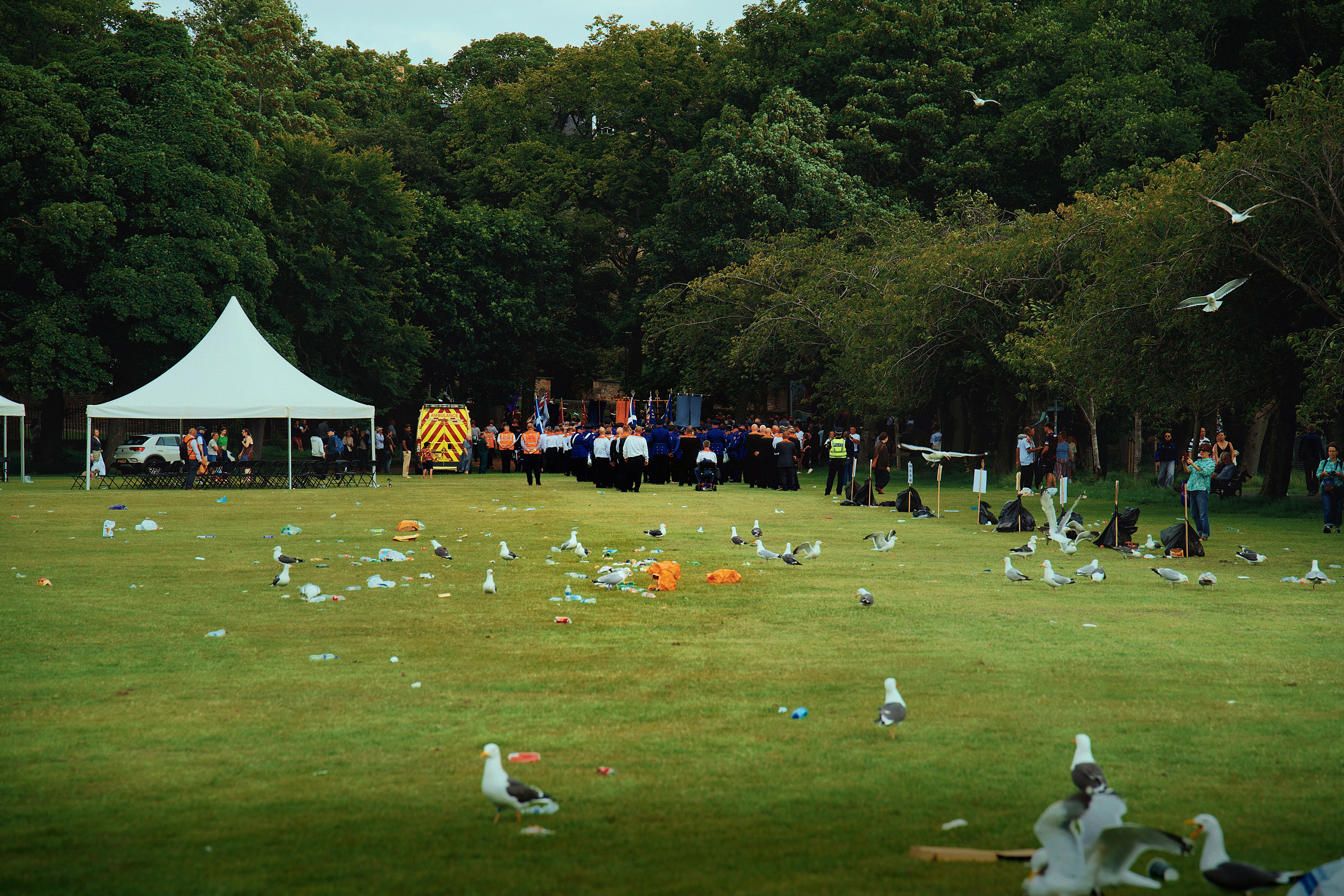 Park Gather: Birds, Tents, and a Quiet Parade of People