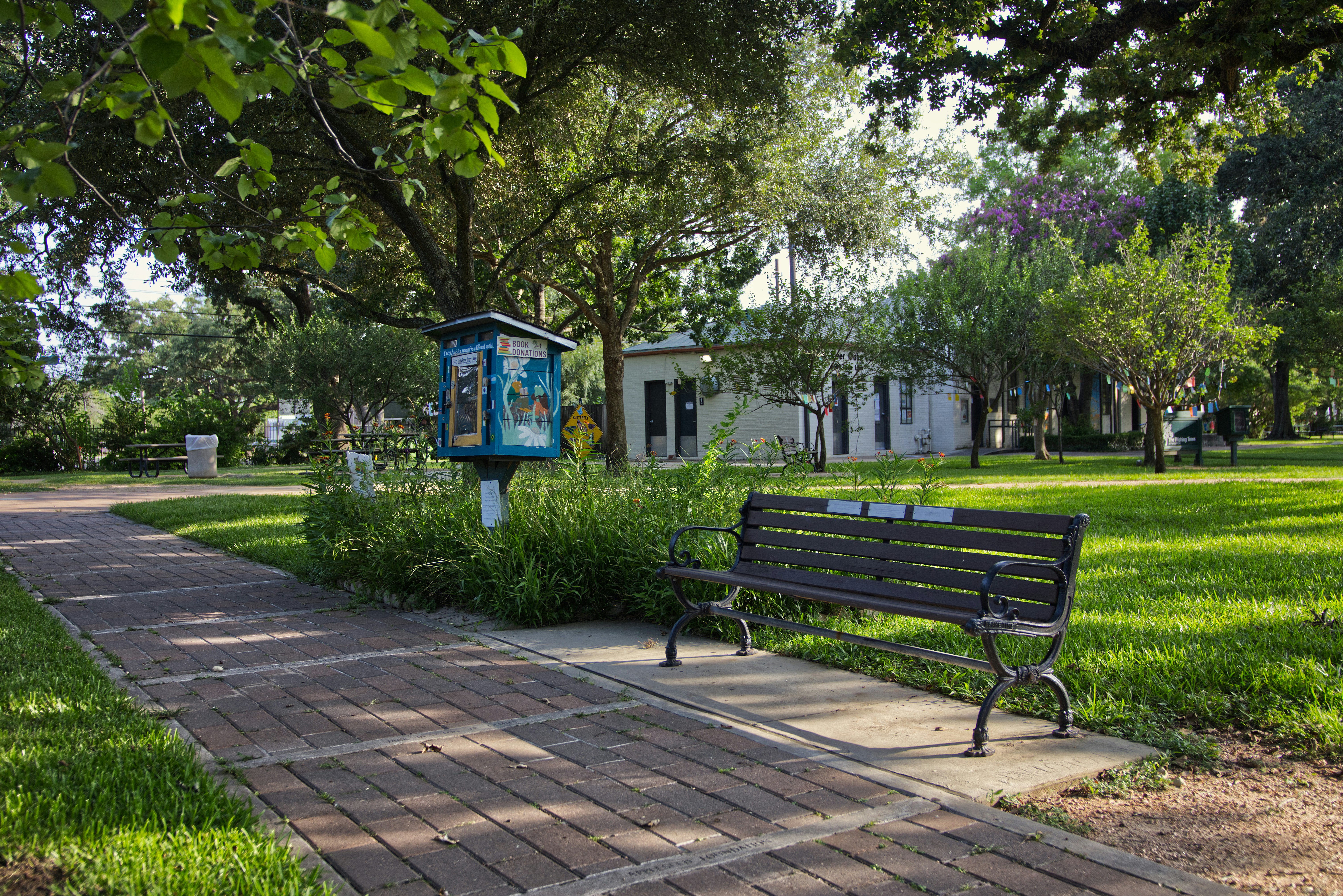 Quiet Park Corner with Message Board and Bench in Afternoon Light