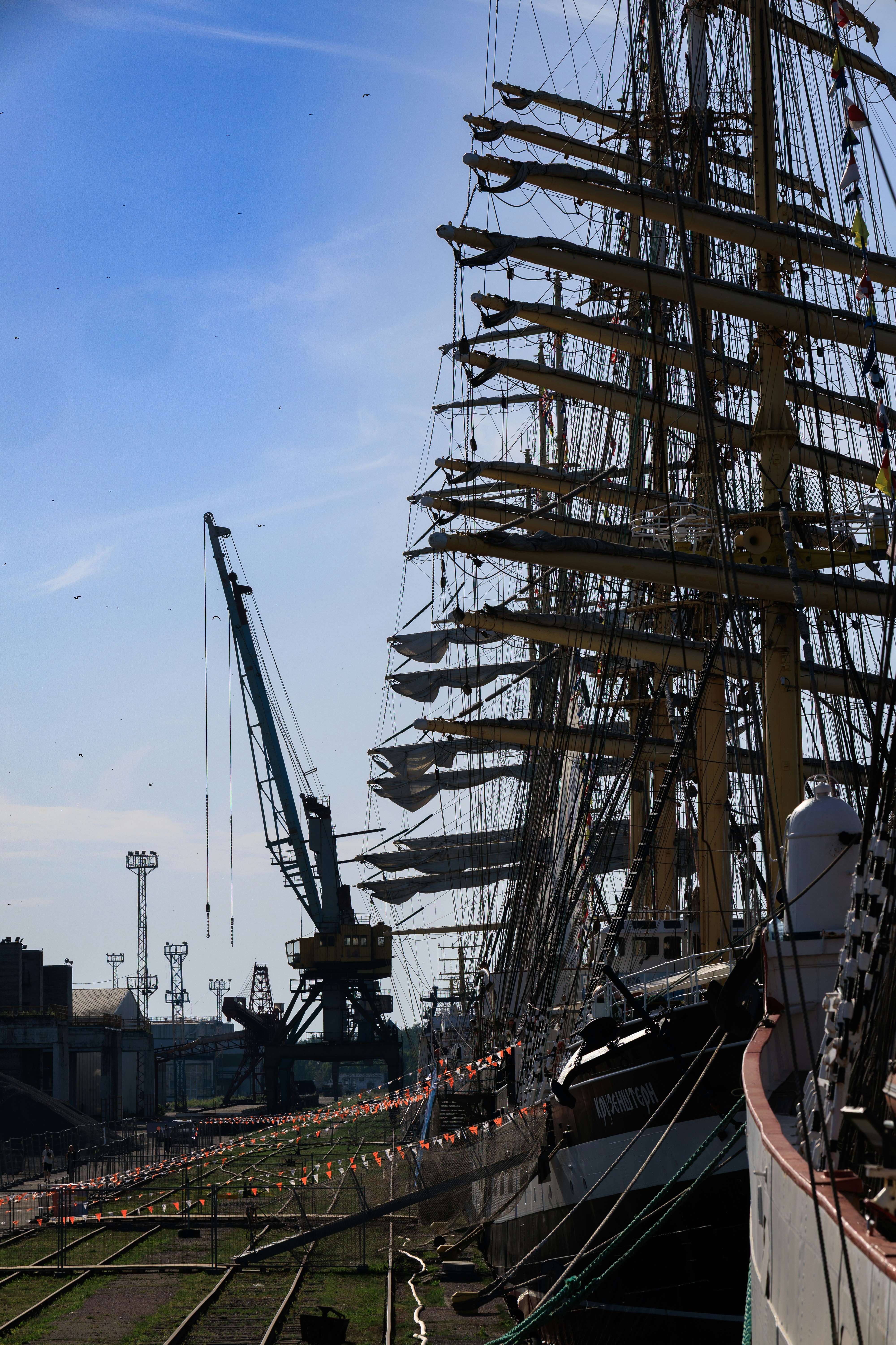 A towering hull of masts against the harbor sky