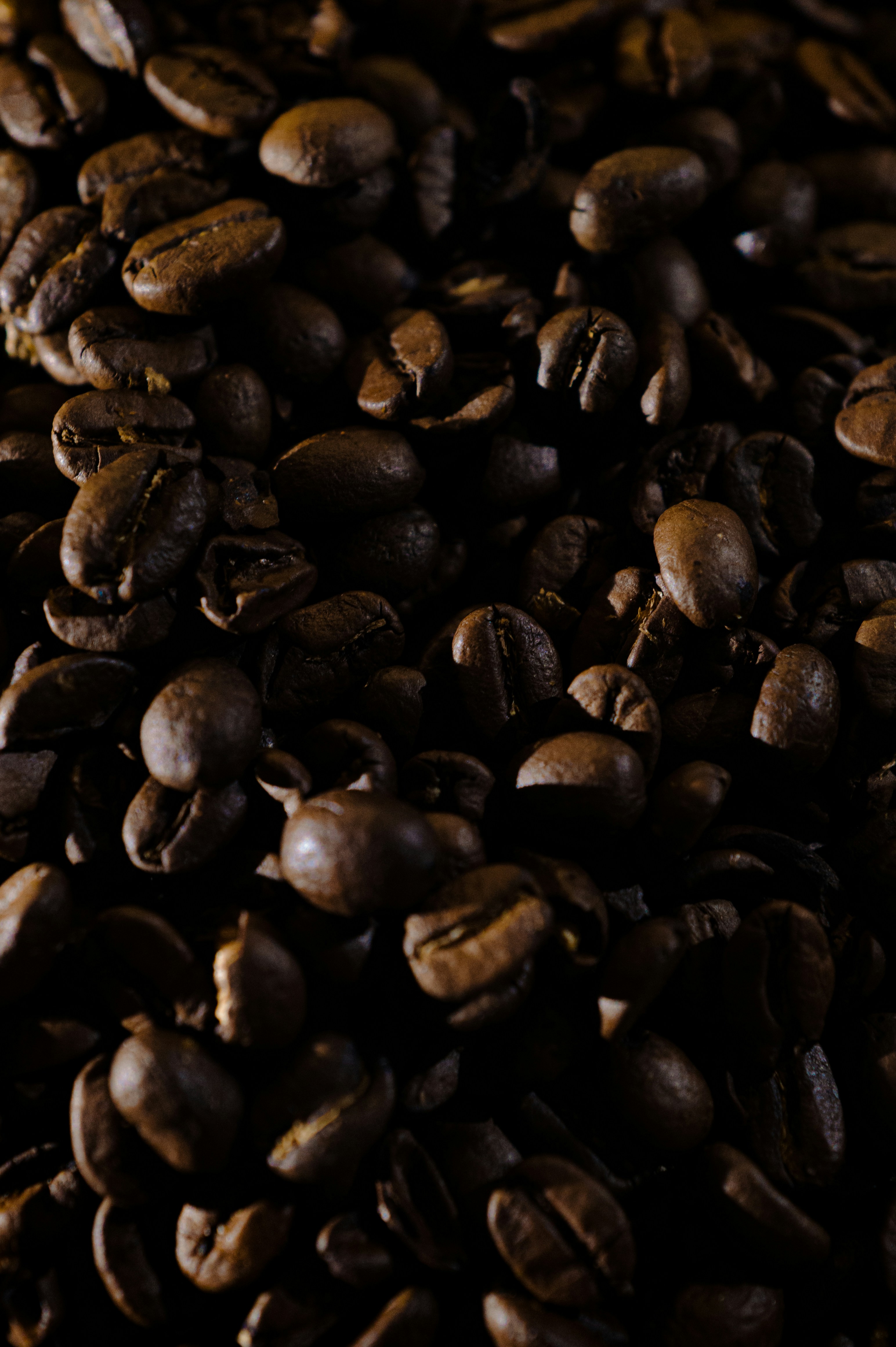 Midnight Roasts: A Close-Up of Coffee Beans in Velvet Shadows