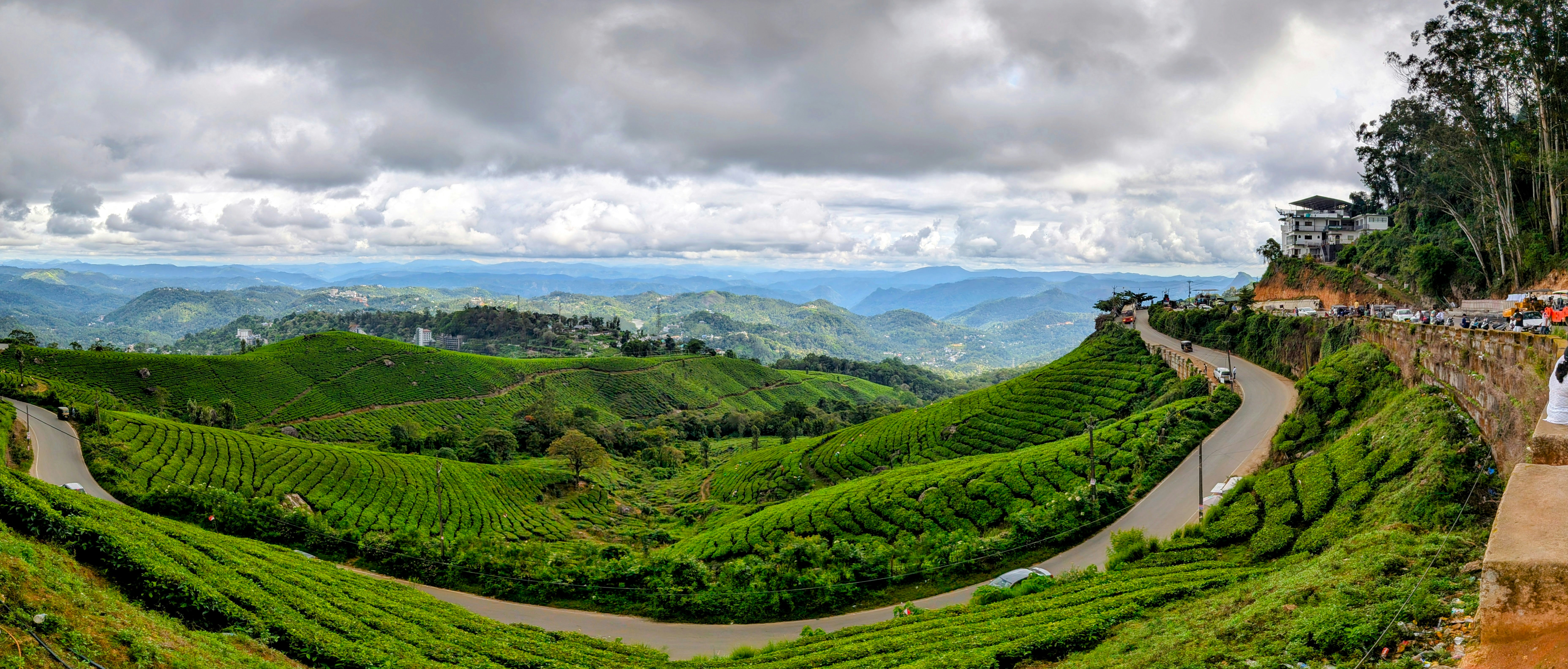 Greenery to the eyes!
