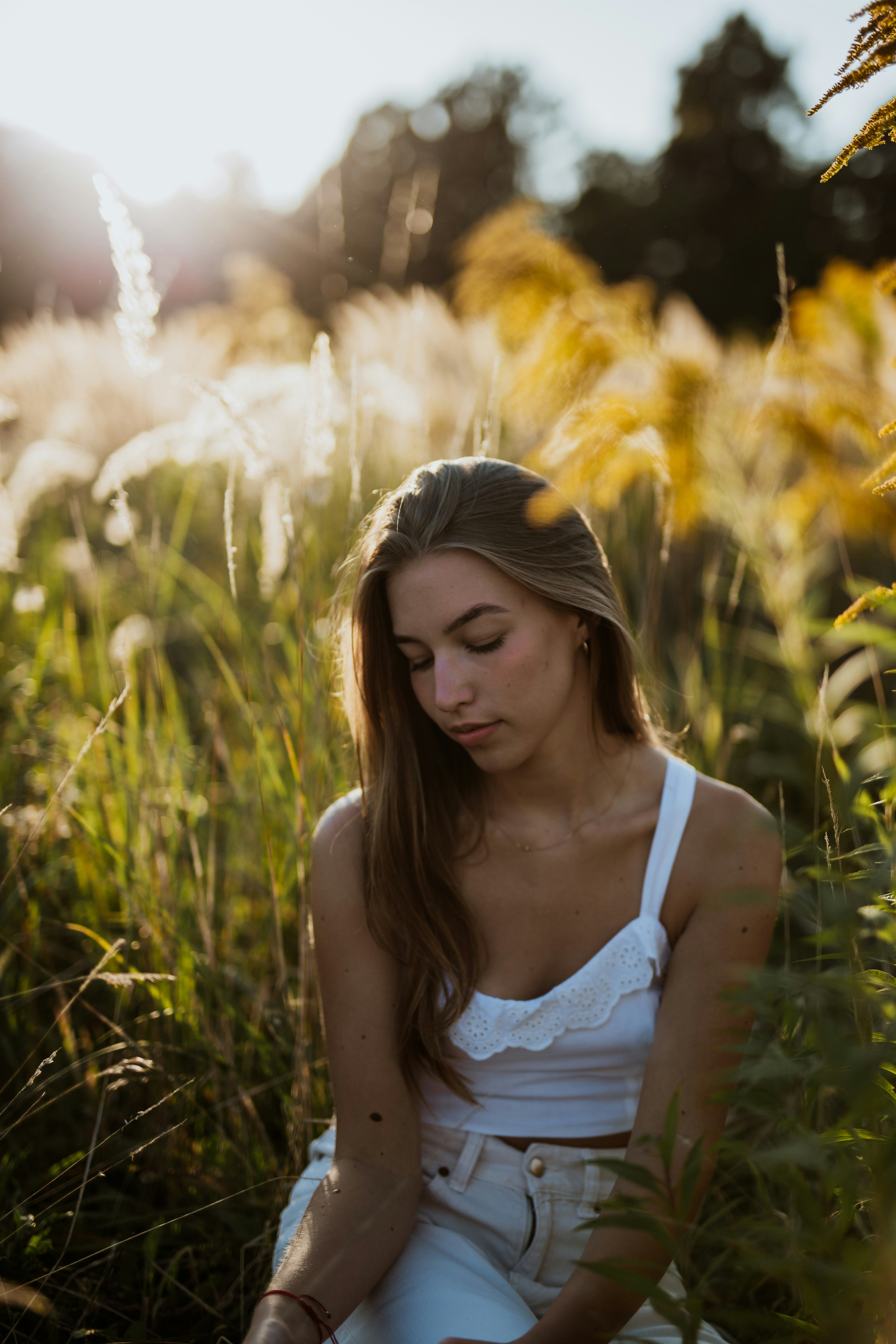 Sunlit Quiet: A Portrait in Tall Grass