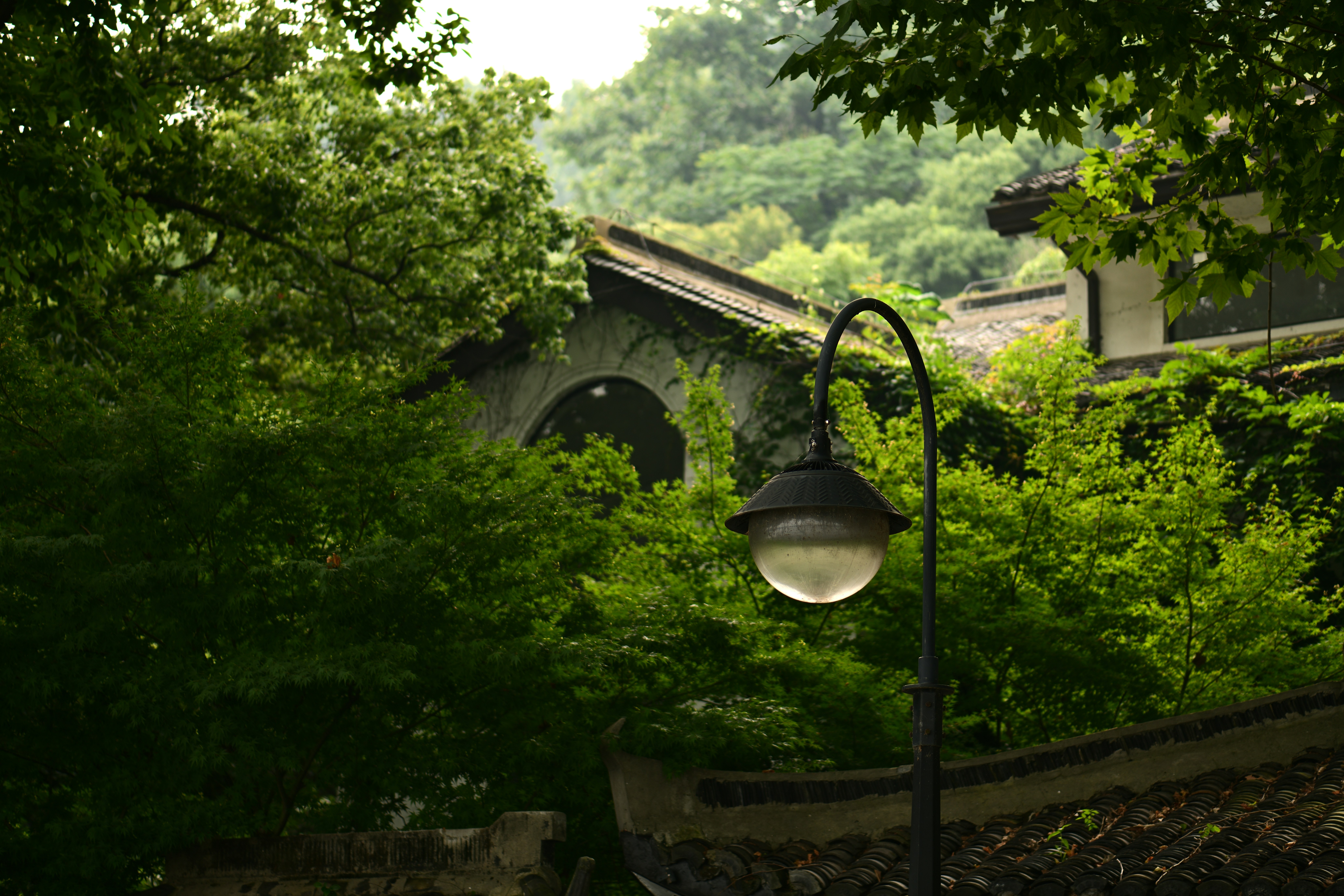 Heritage Lantern Amid Green Canopy