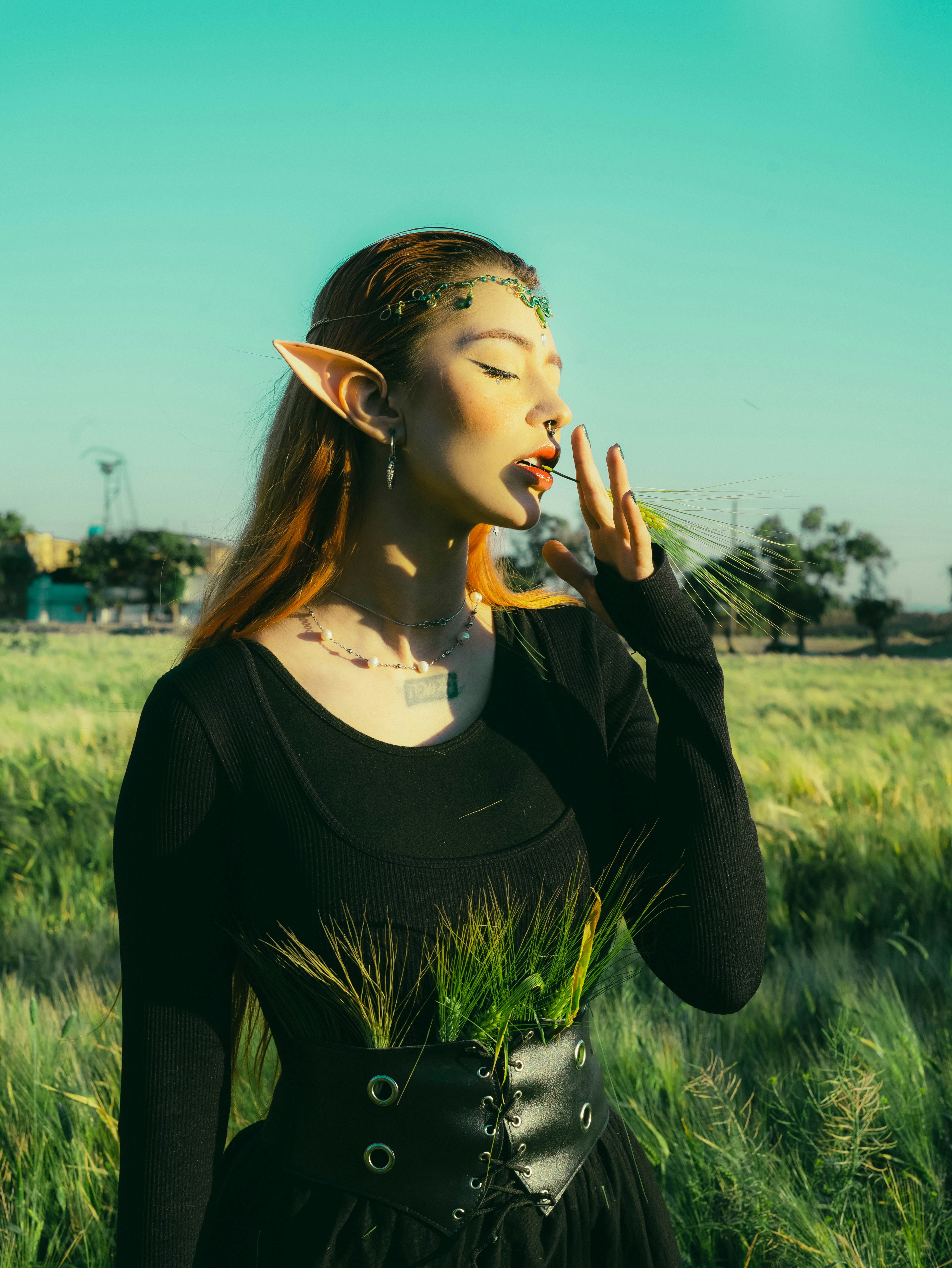 Sunlit Elf in a Field: A Portrait of Quiet Expression