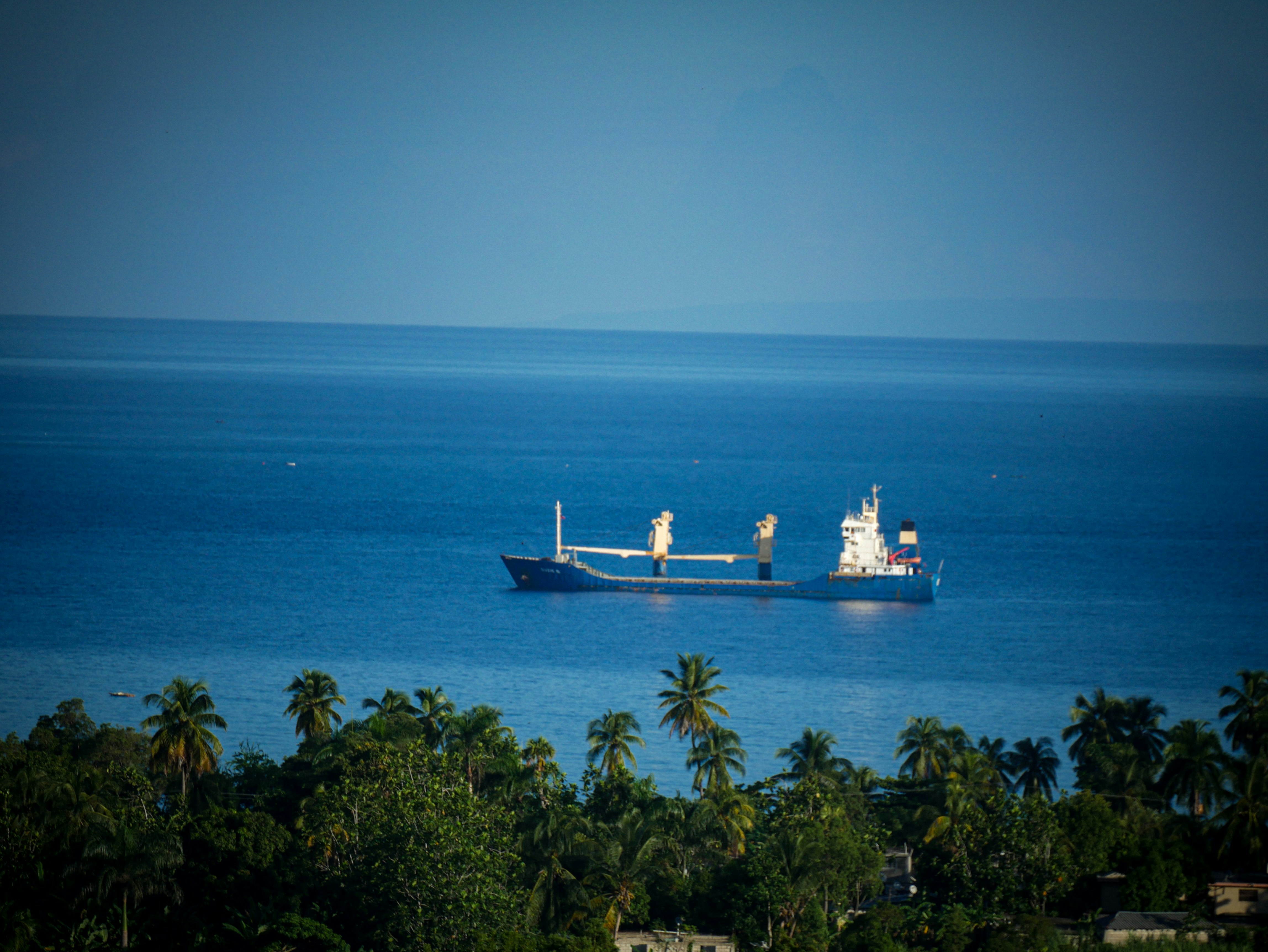 Cargo ship on calm sea with palm-fringed coastline in foreground and clear horizon beyond; a serene seascape showing maritime activity near a tropical shoreline.