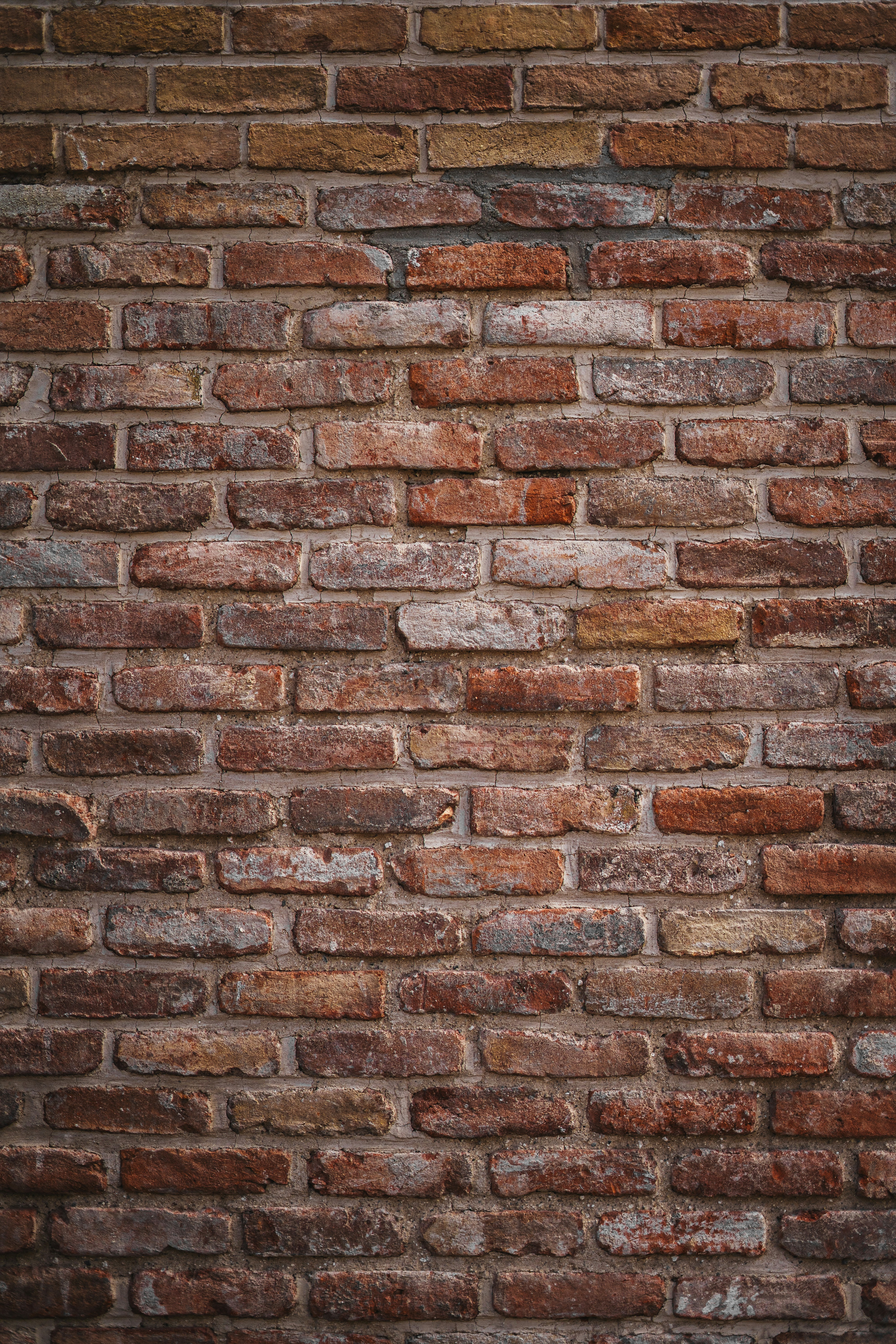 Weathered Bricks, Quiet Patina