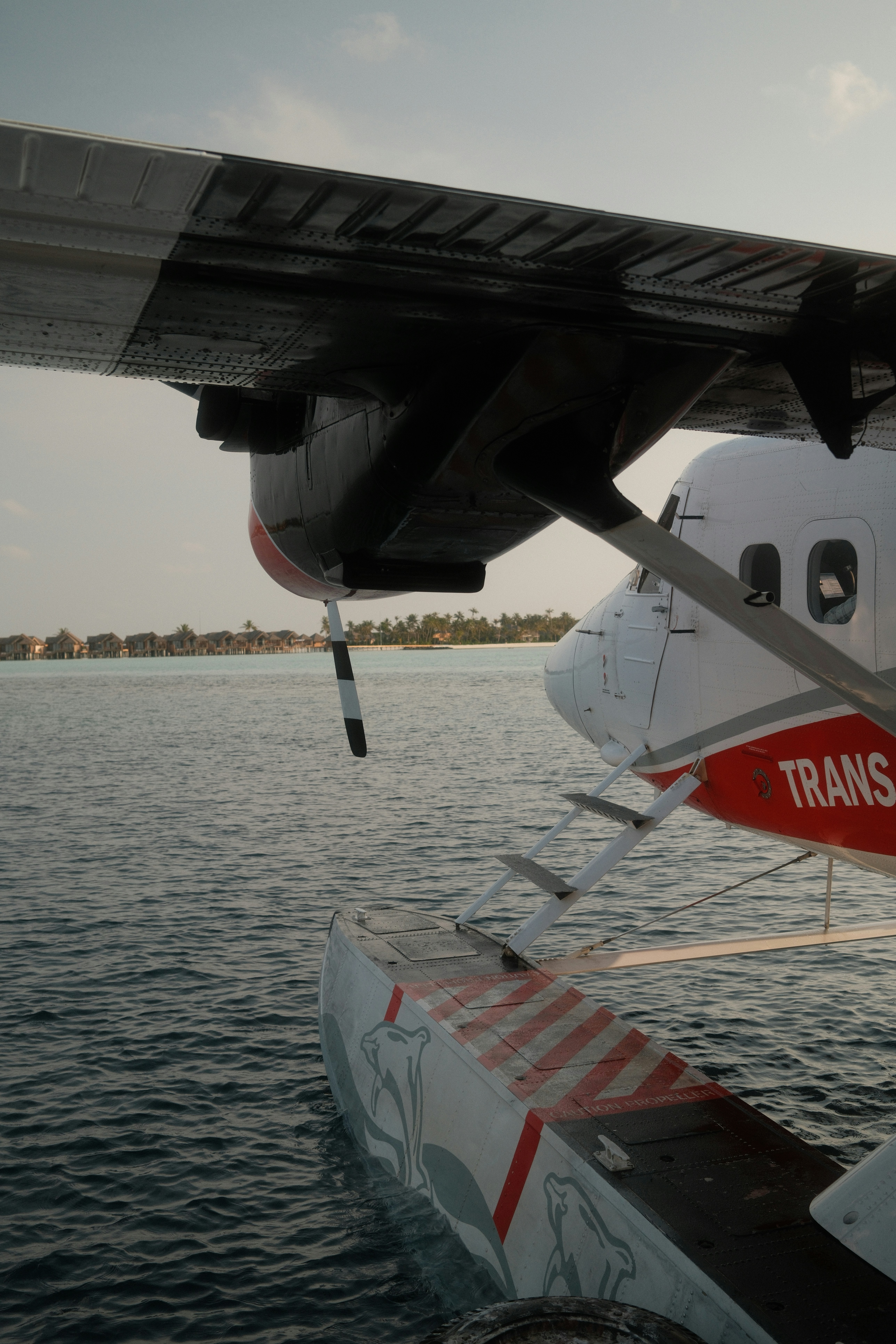 Docked in the Sky: A Seaplane by the Water's Edge