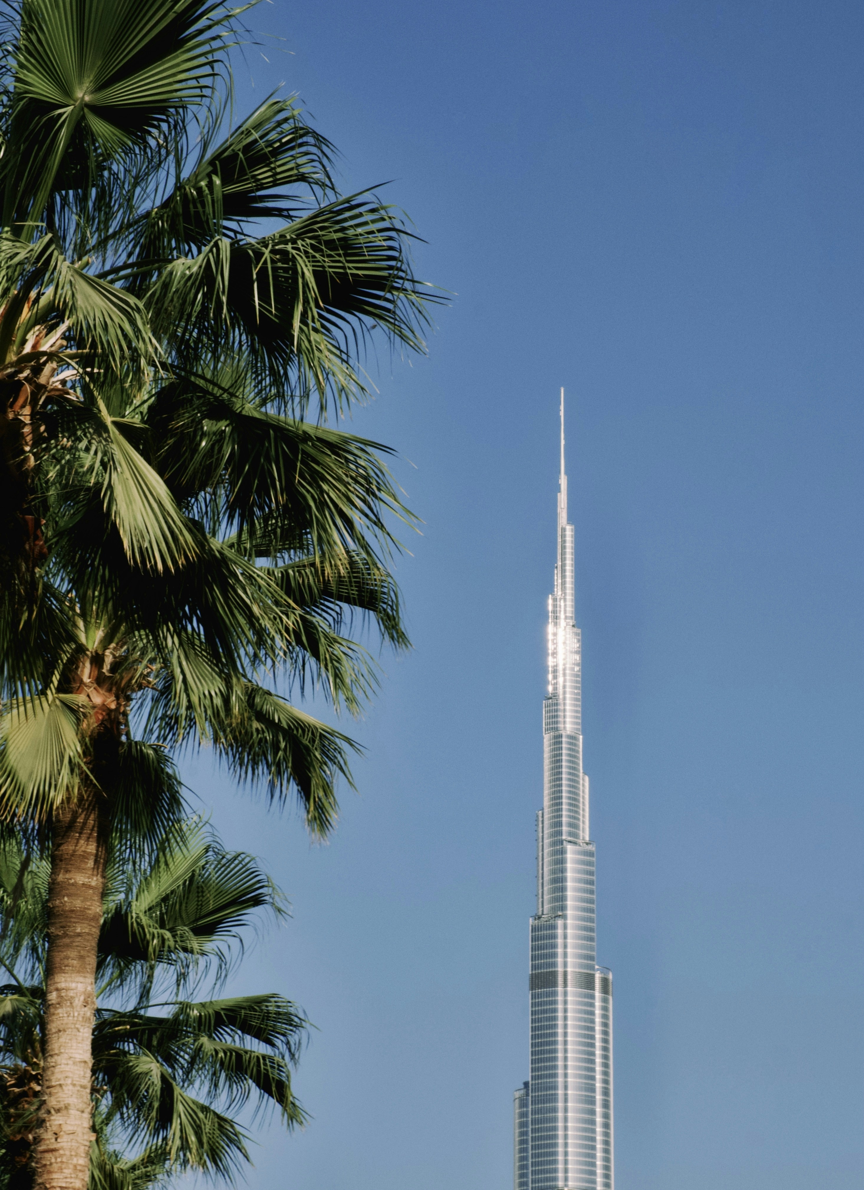 A Palm-Silhouetted Skyward: Burj Khalifa Piercing the Clear Blue