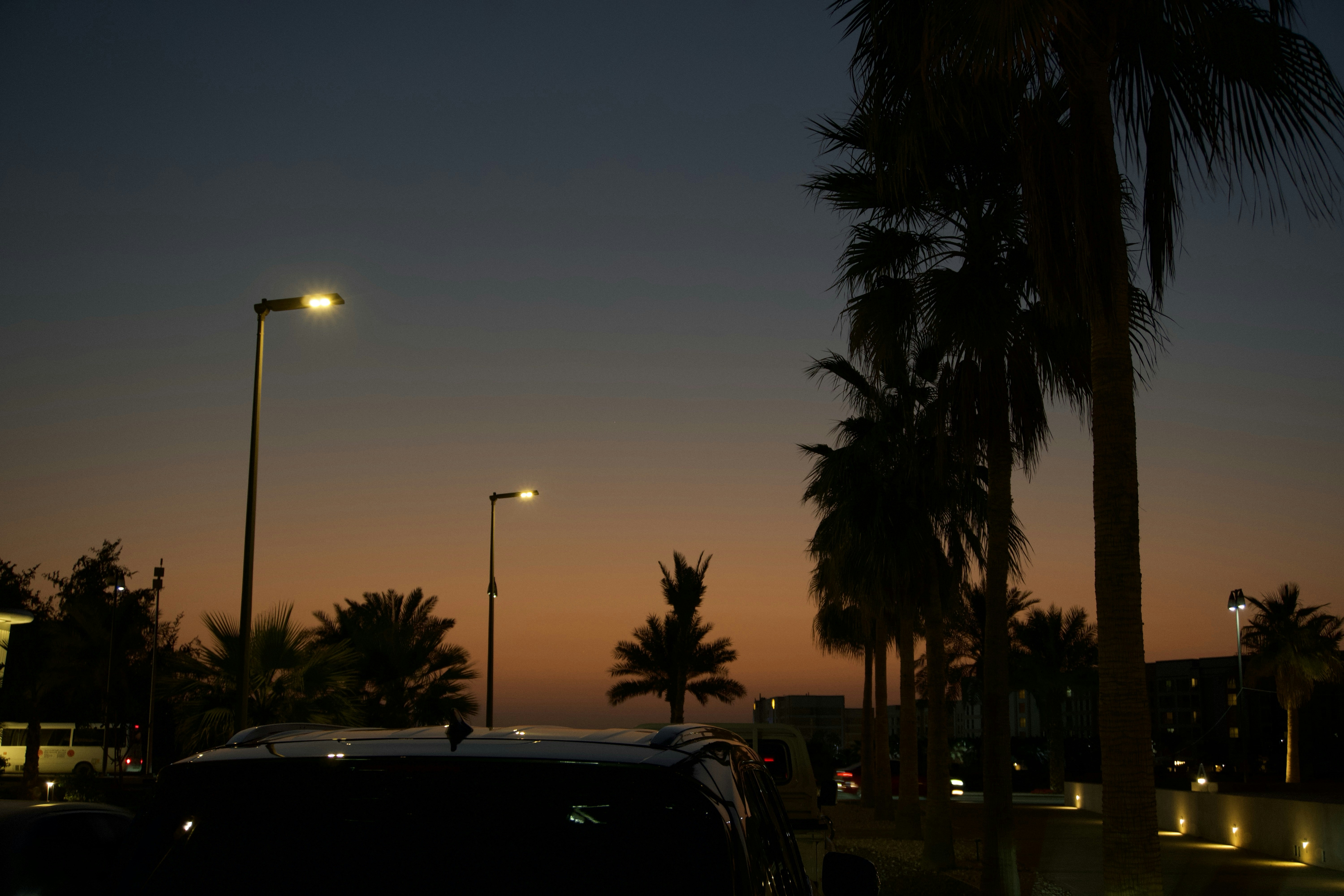 Dusk in the Palm Parking Lot