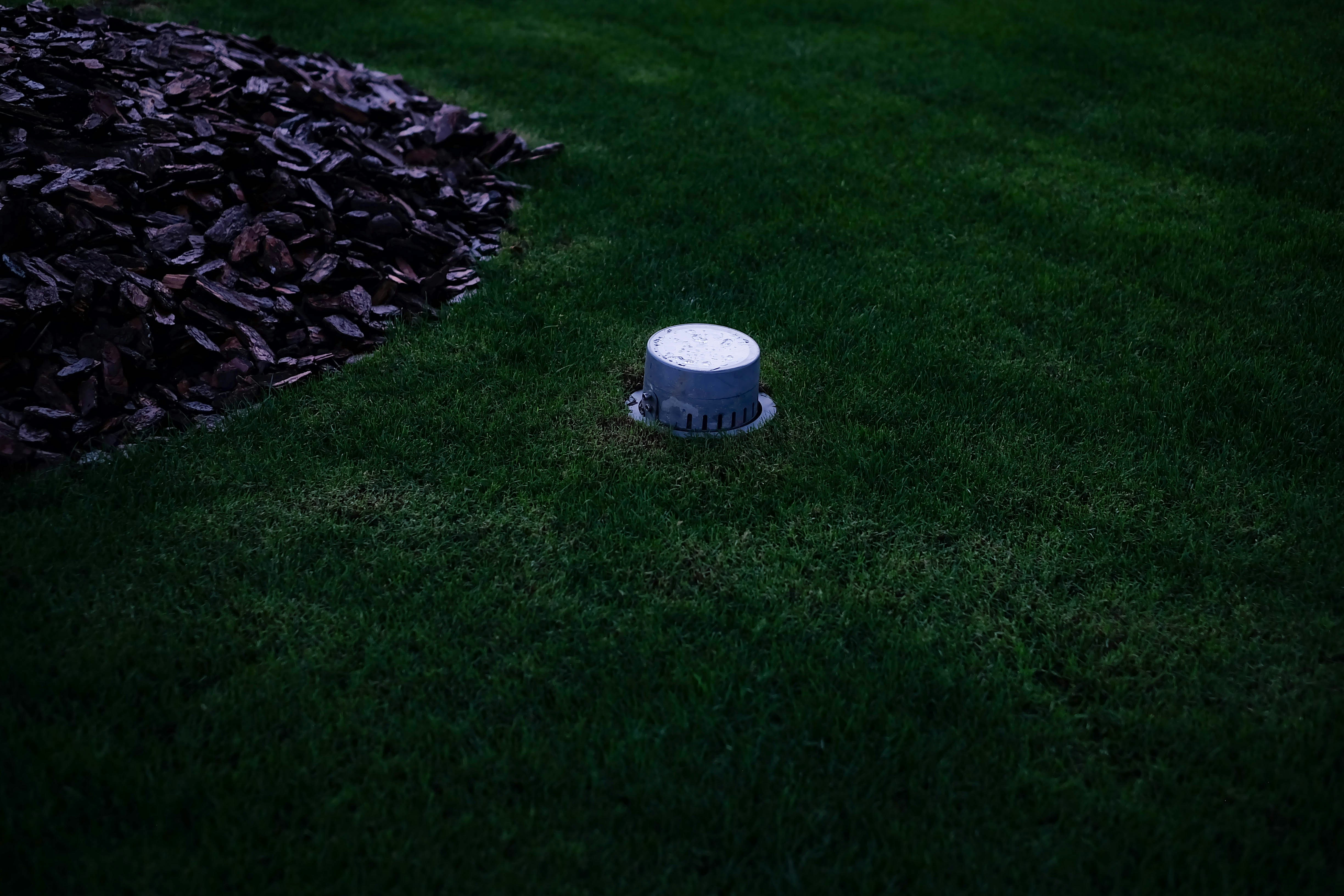 Lawn Spotlight: A lone utility vent amid evening grass