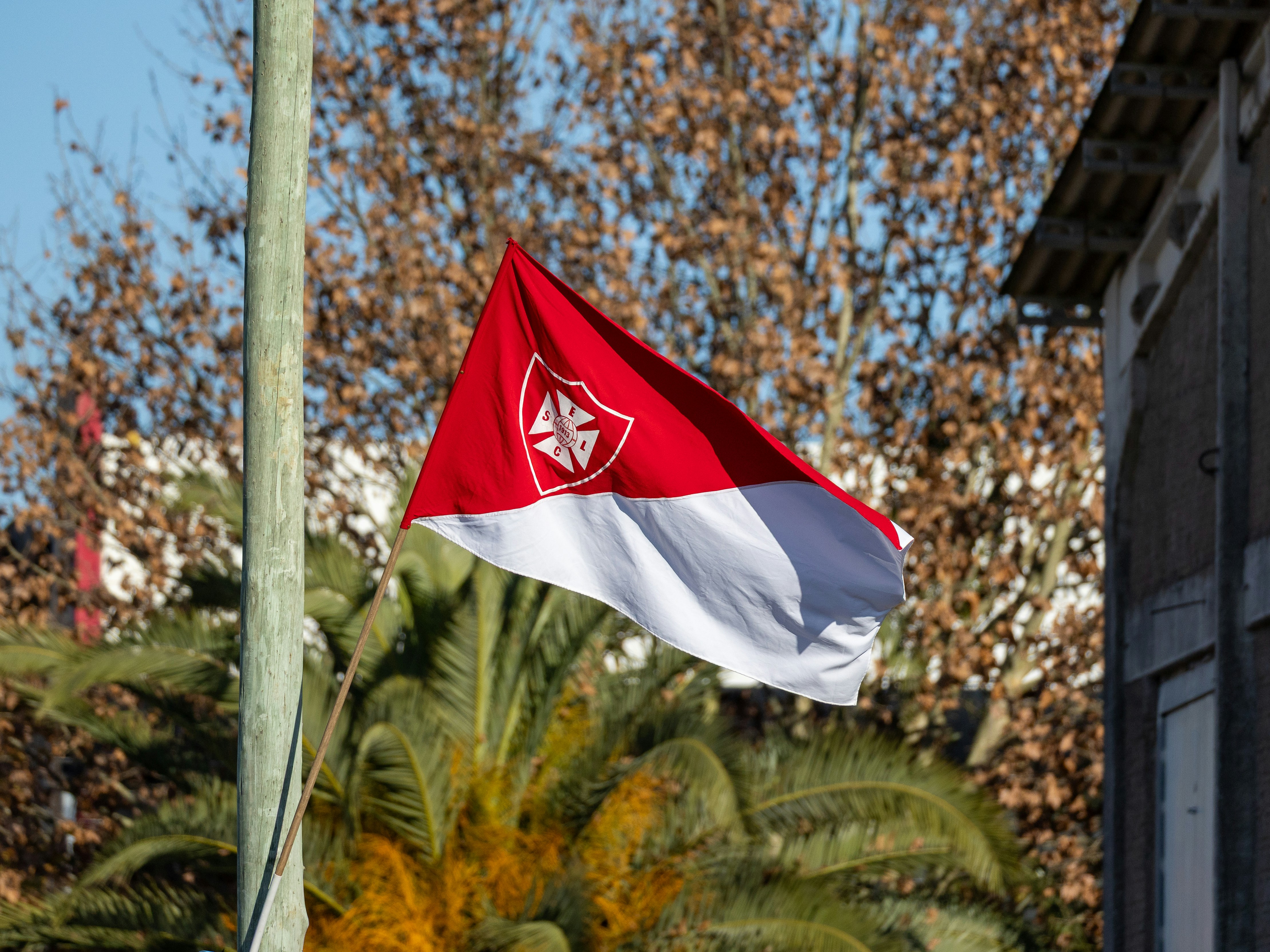 Crimson pennant unfurls beside a weathered structure against a sunlit garden