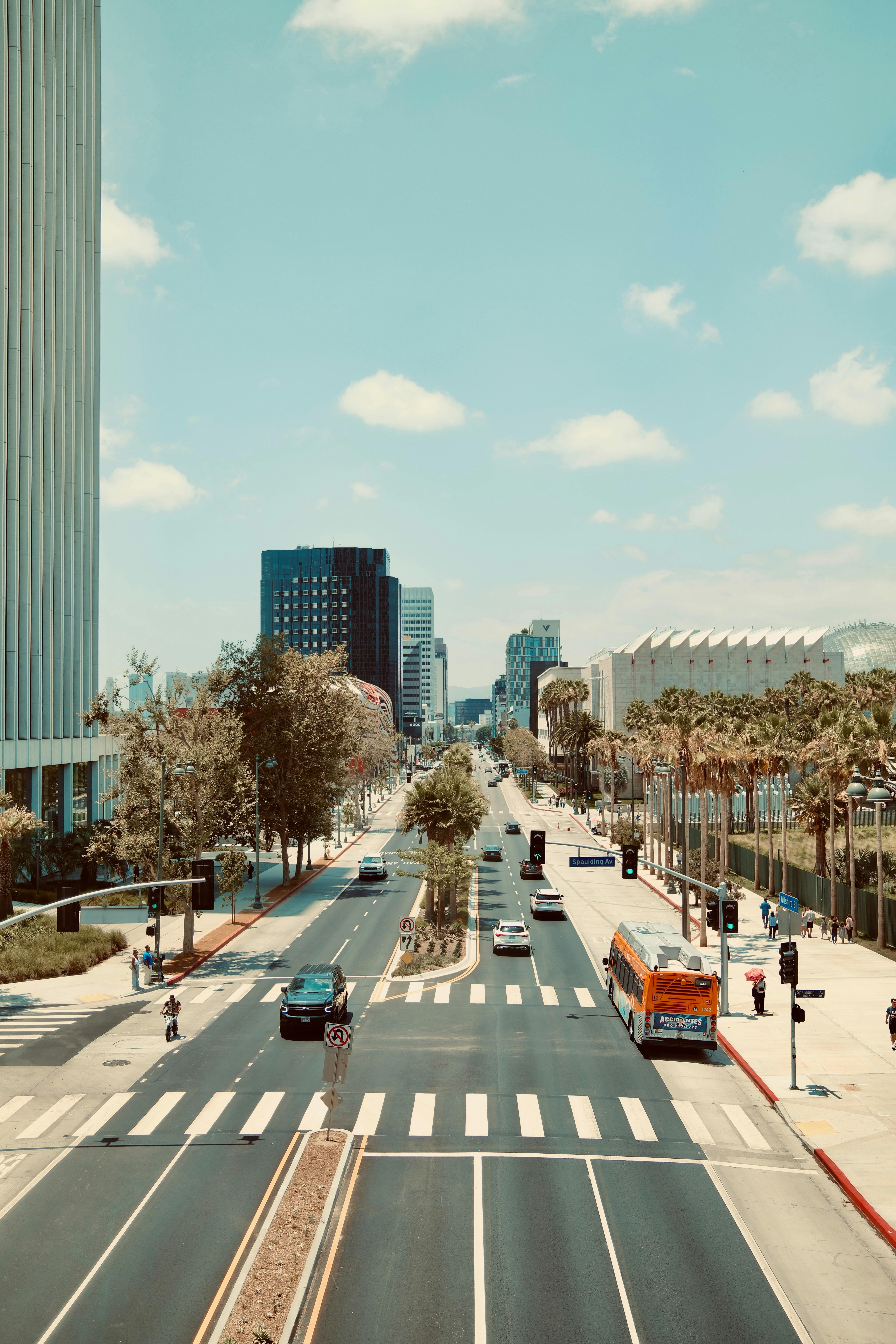 Urban Boulevard: A Sunlit Crossroad Toward the City’s Edge