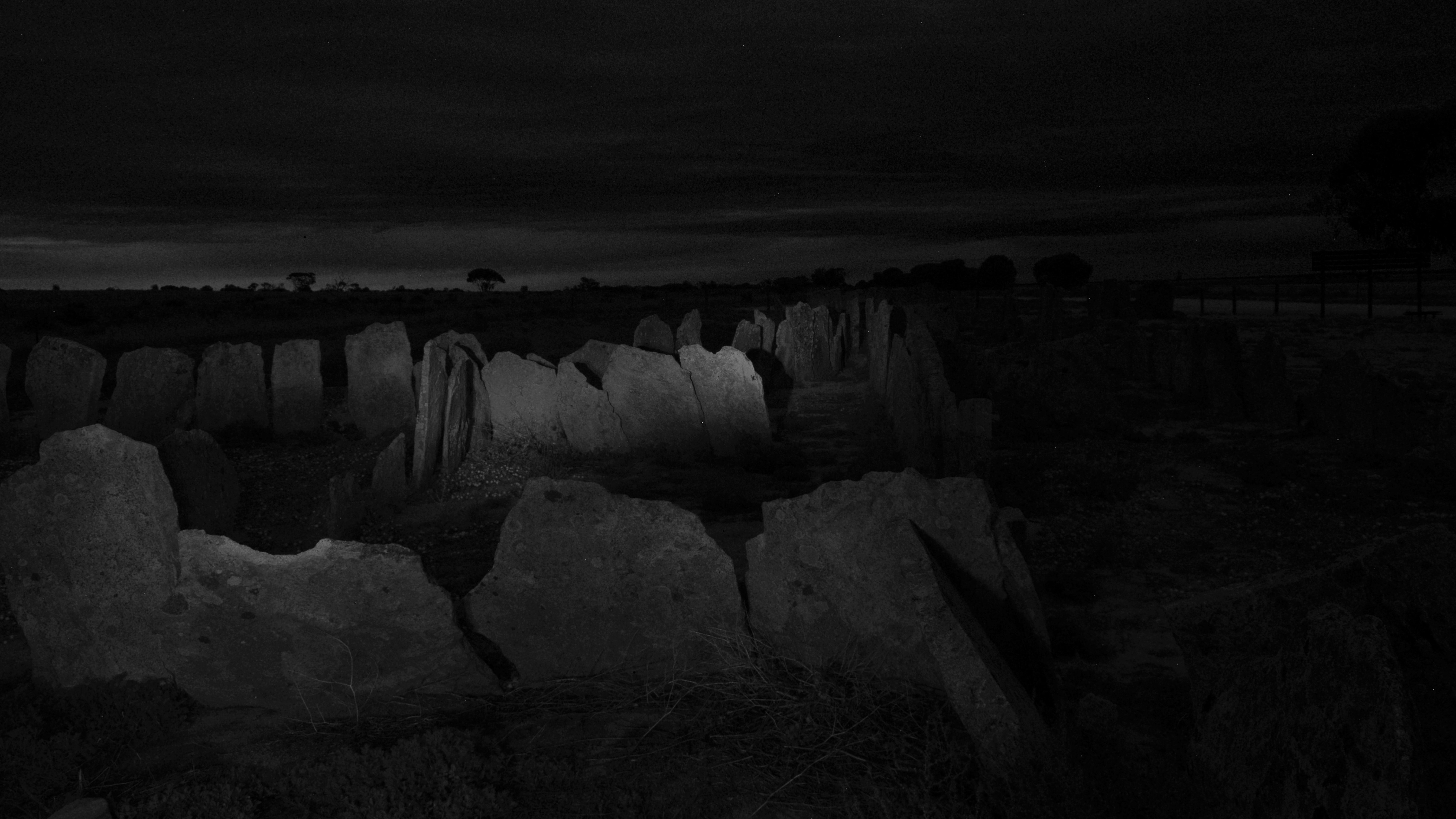 Moonlit Rookery: Weathered Stones under a Silent Sky